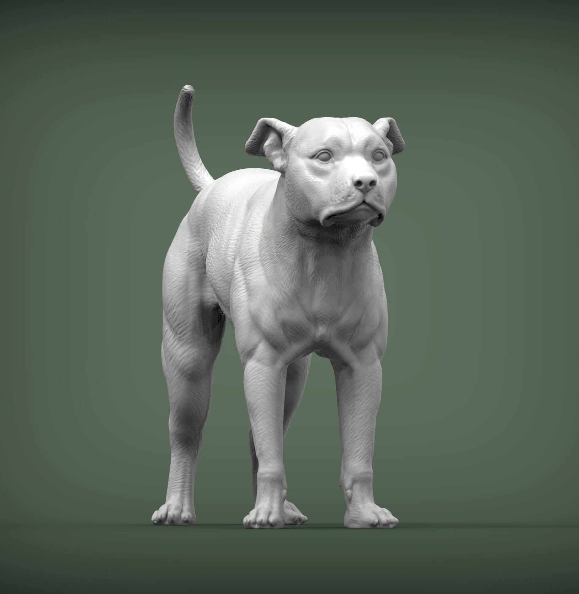 Pit Bull Sculpture - 3D Model by Alexander3dart