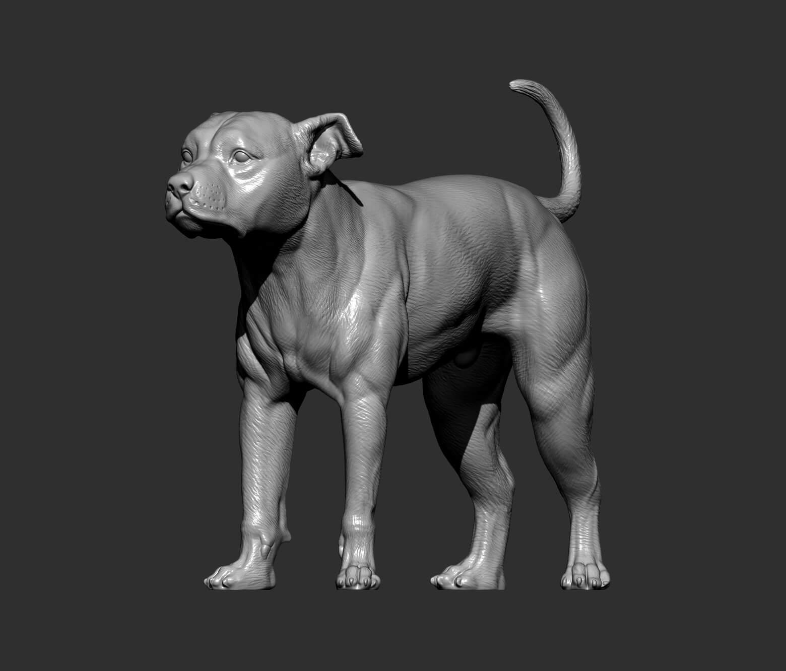 Pit Bull Sculpture - 3D Model by Alexander3dart