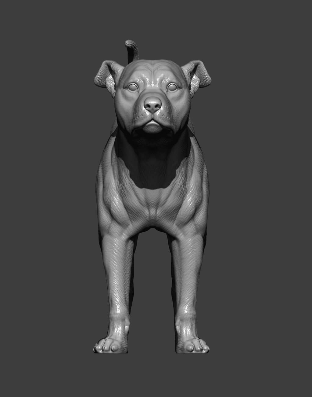 Pit Bull Sculpture - 3D Model by Alexander3dart