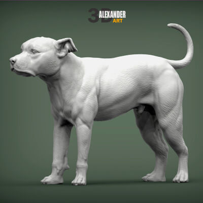 Pit Bull Sculpture - 3D Model by Alexander3dart