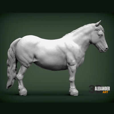 Pony Sculpture - 3D Model by Alexander3dart