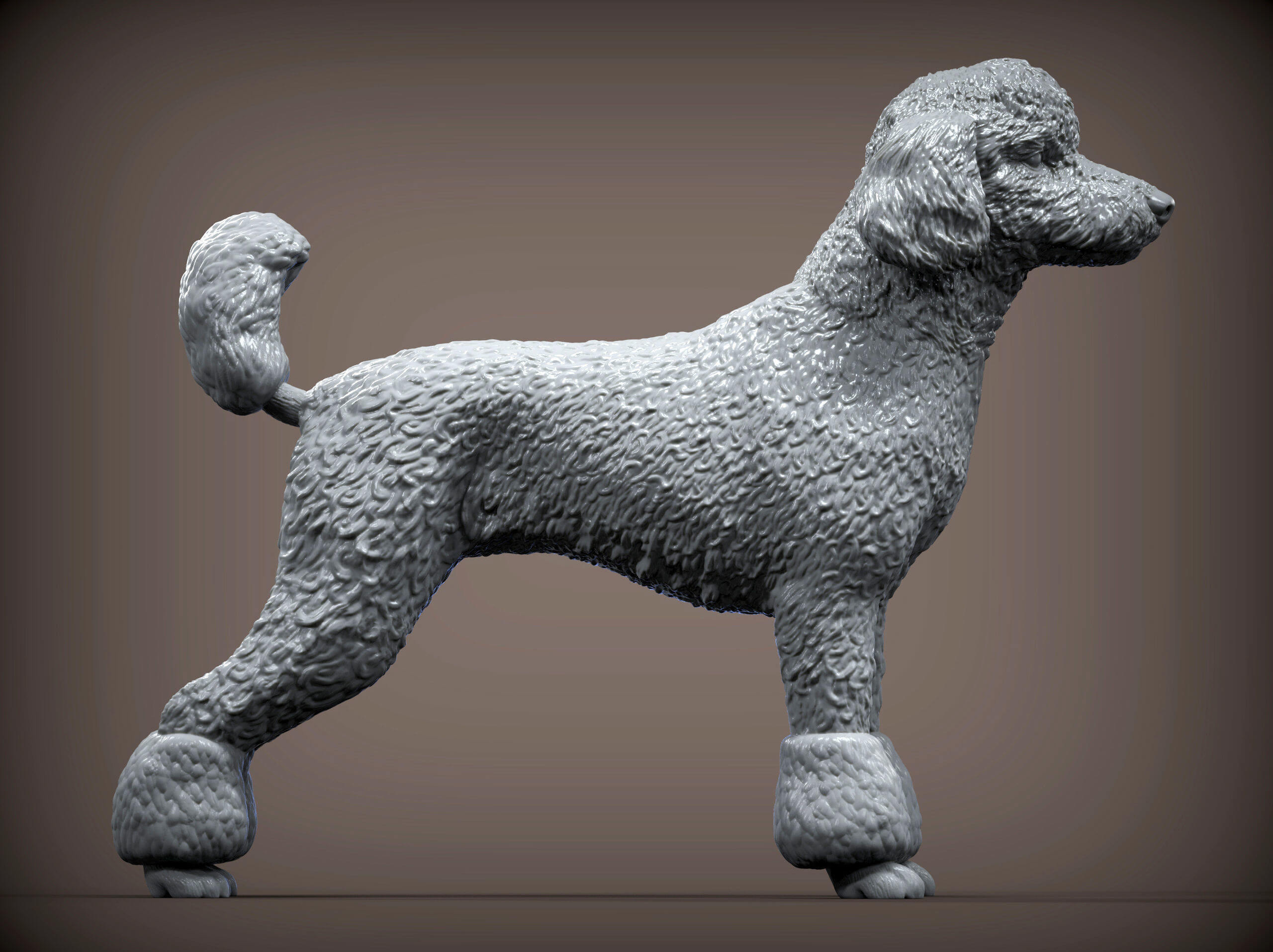 Poodle Sculpture - 3D Model by Alexander3dart