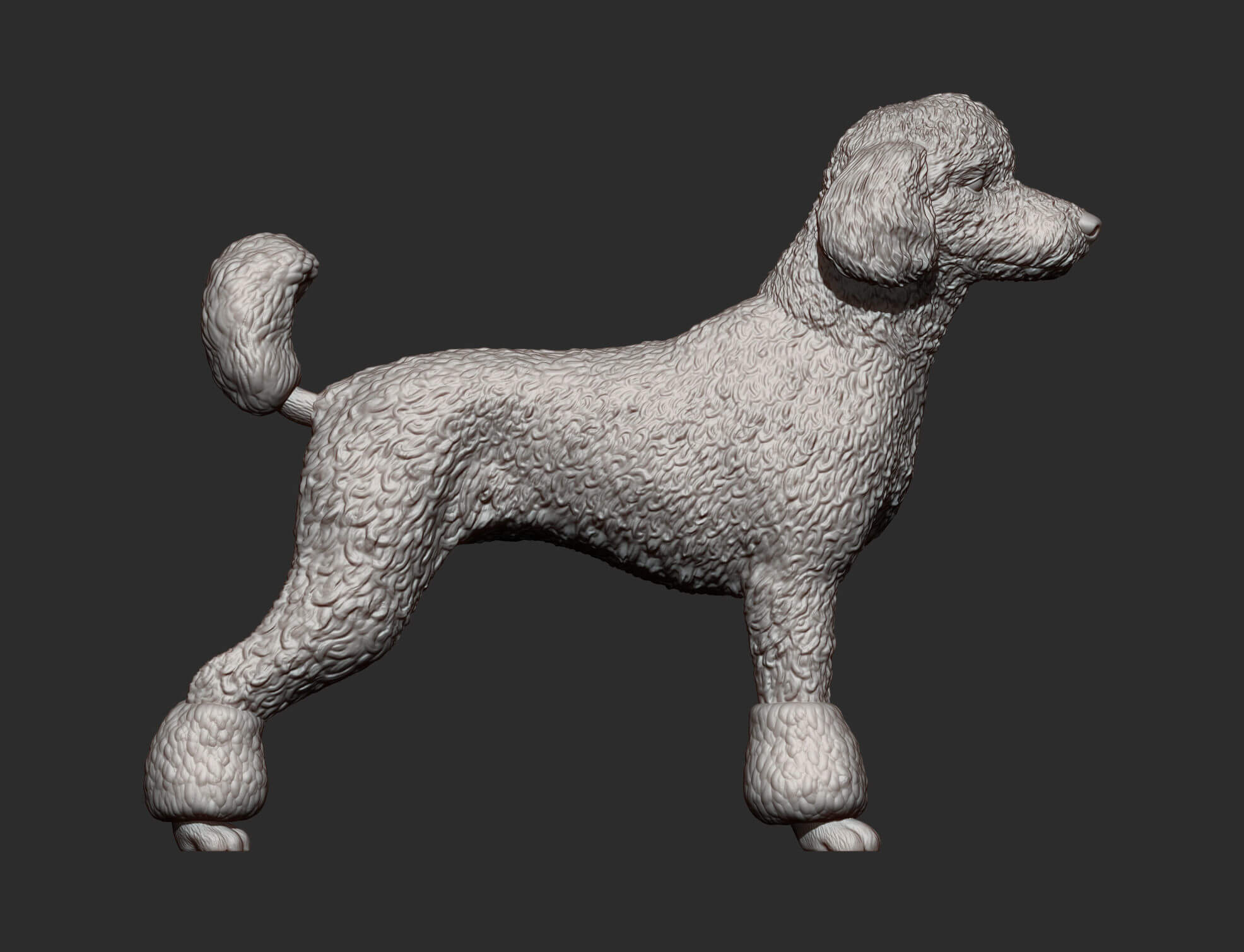 Poodle Sculpture - 3D Model by Alexander3dart
