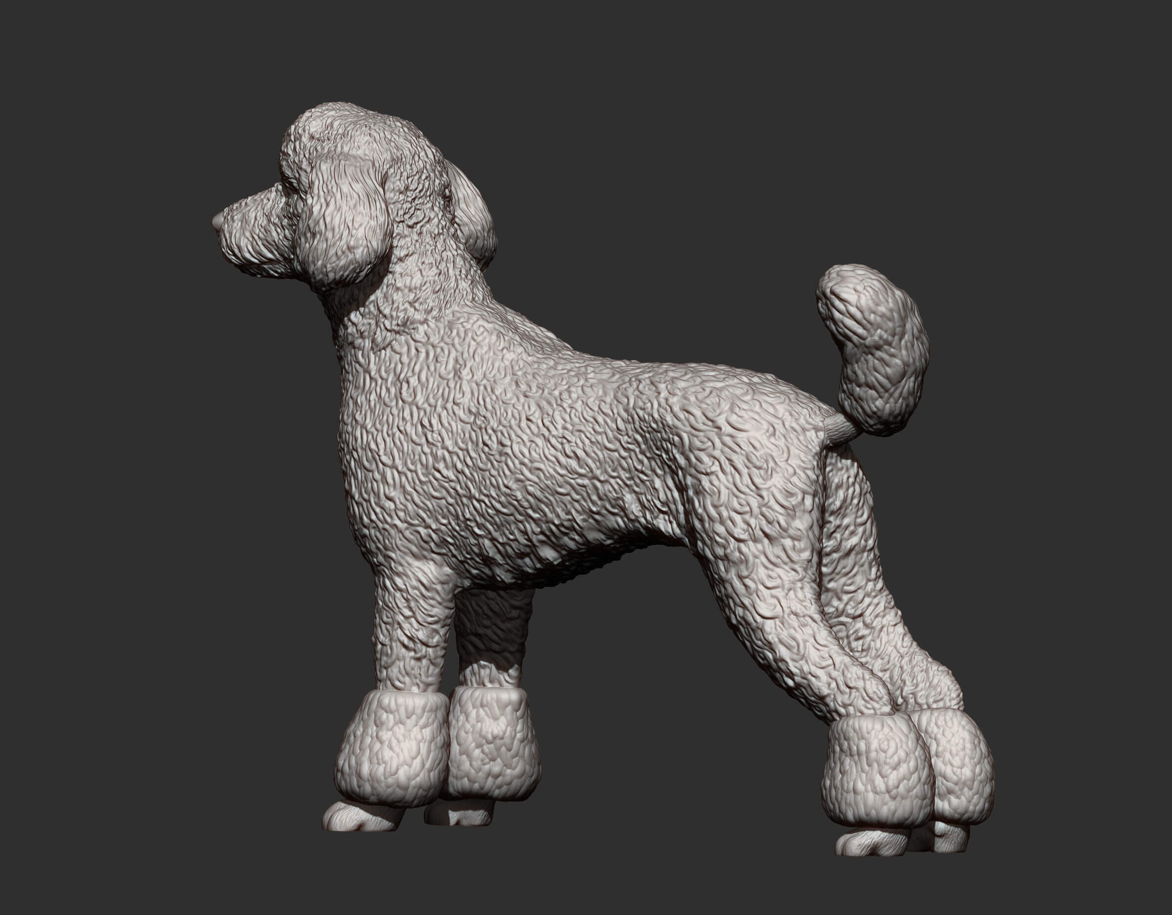 Poodle Sculpture - 3D Model by Alexander3dart