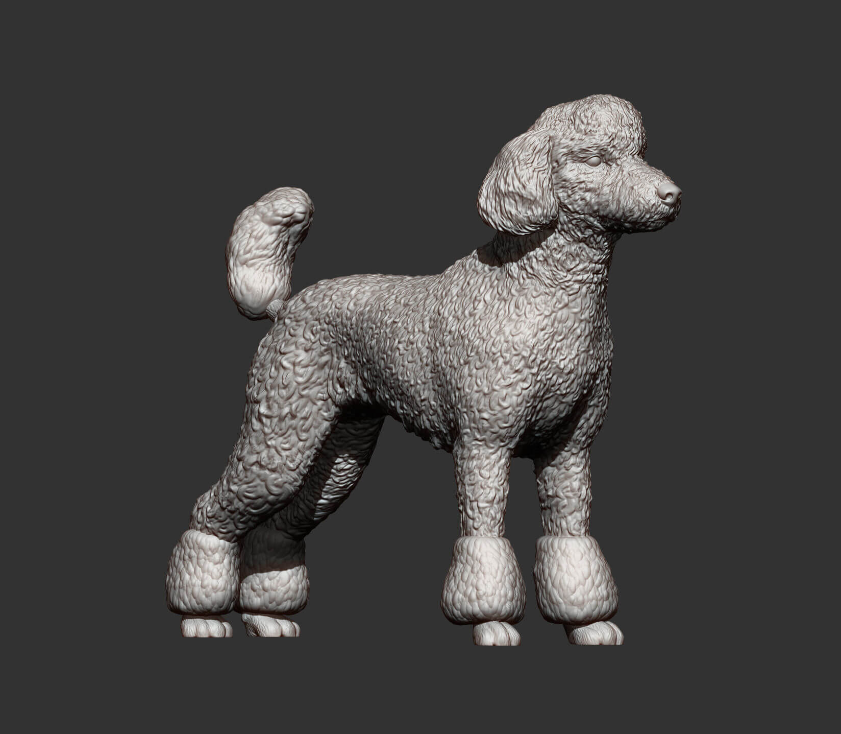 Poodle Sculpture - 3D Model by Alexander3dart