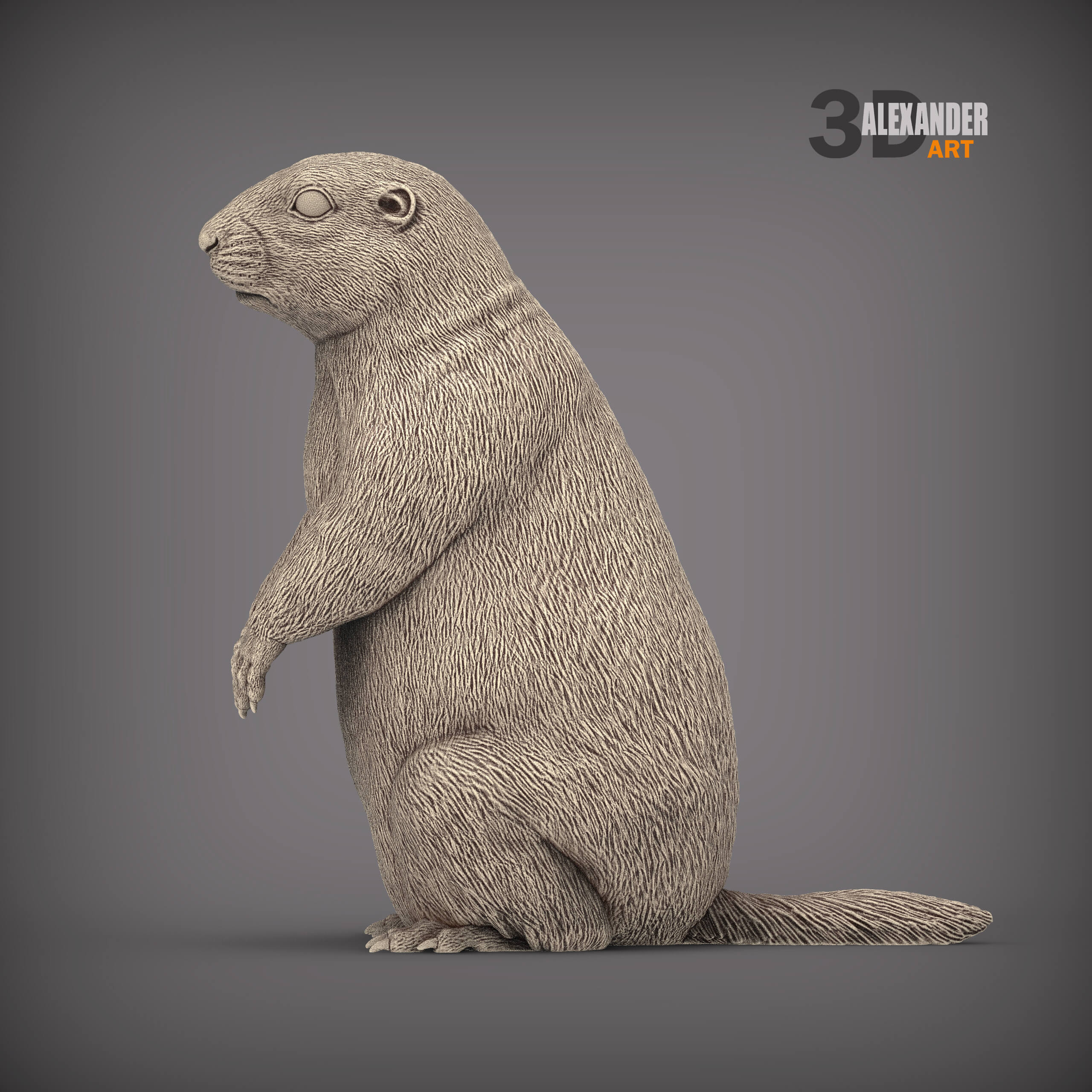 Prairie Dog on Its Hind Legs - 3D Model by Alexander3dart
