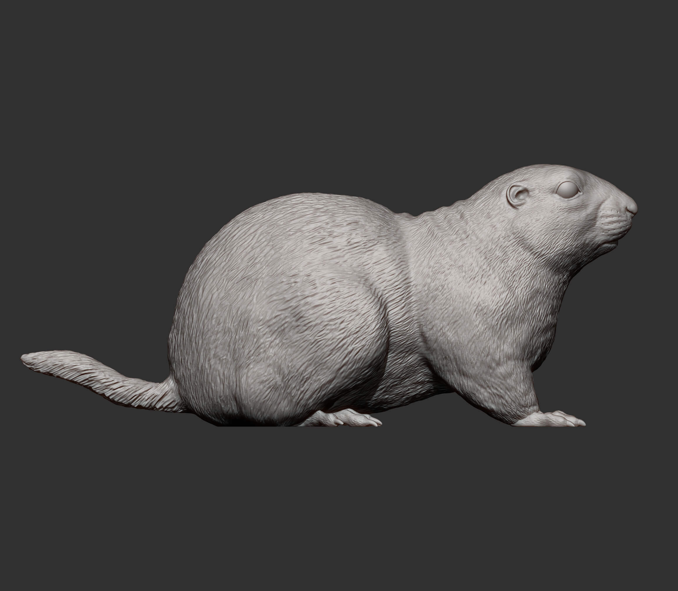 Prairie Dog Sculpture - 3D Model by Alexander3dart