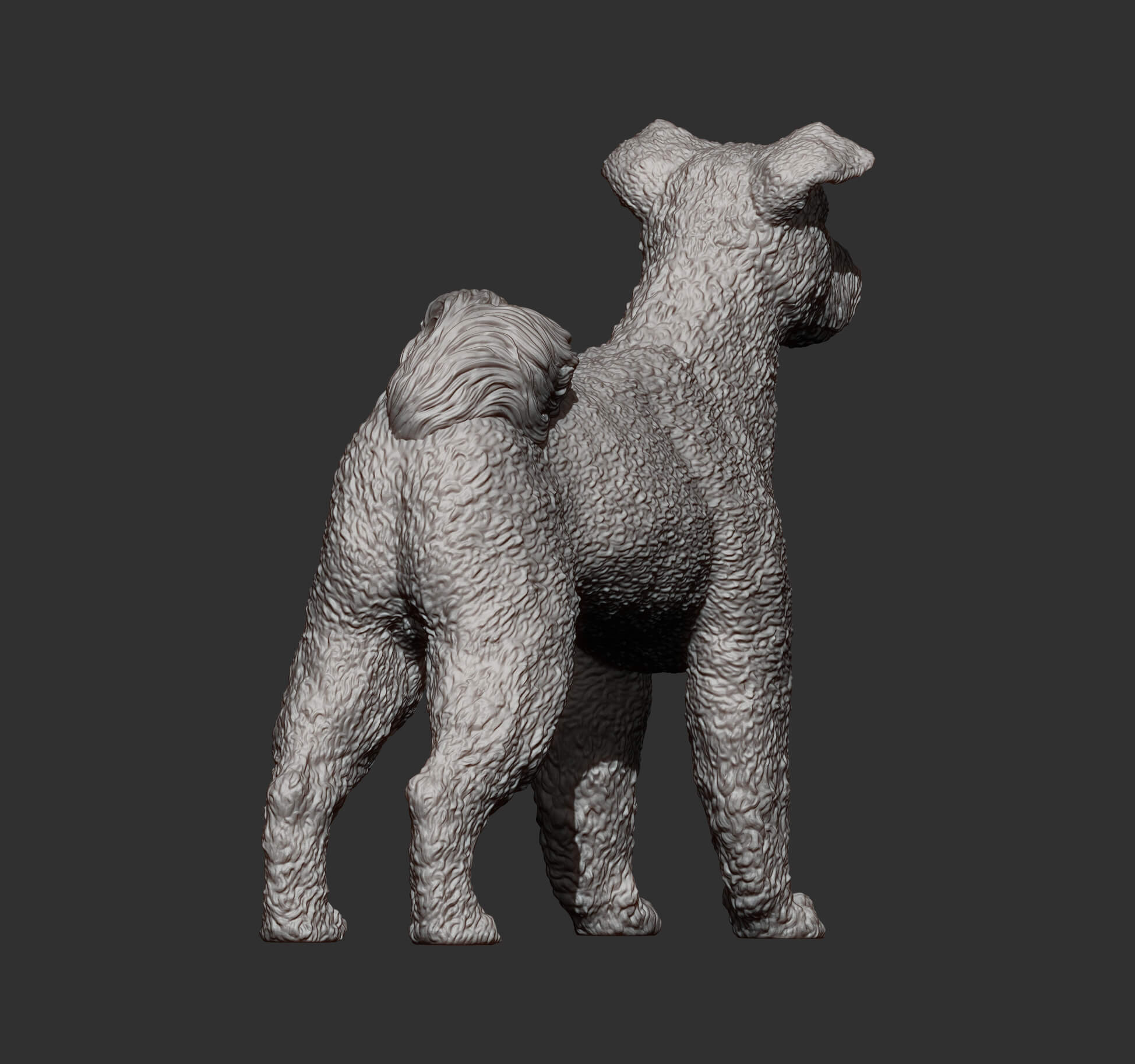 Pumi 3D Model 3D Print Model by Alexander3dart