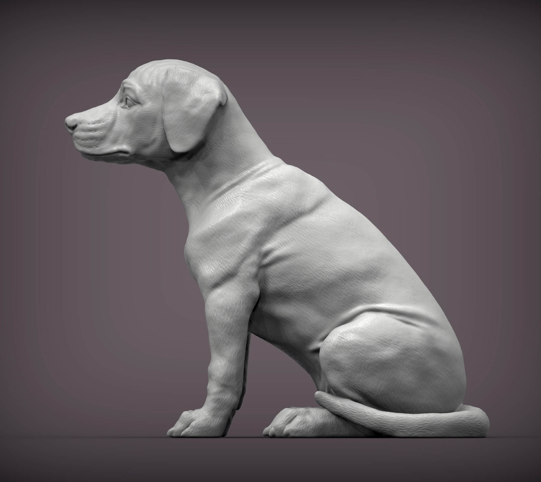 Puppy Rhodesian Ridgeback Sitting 3D Print Model by Alexander3dart