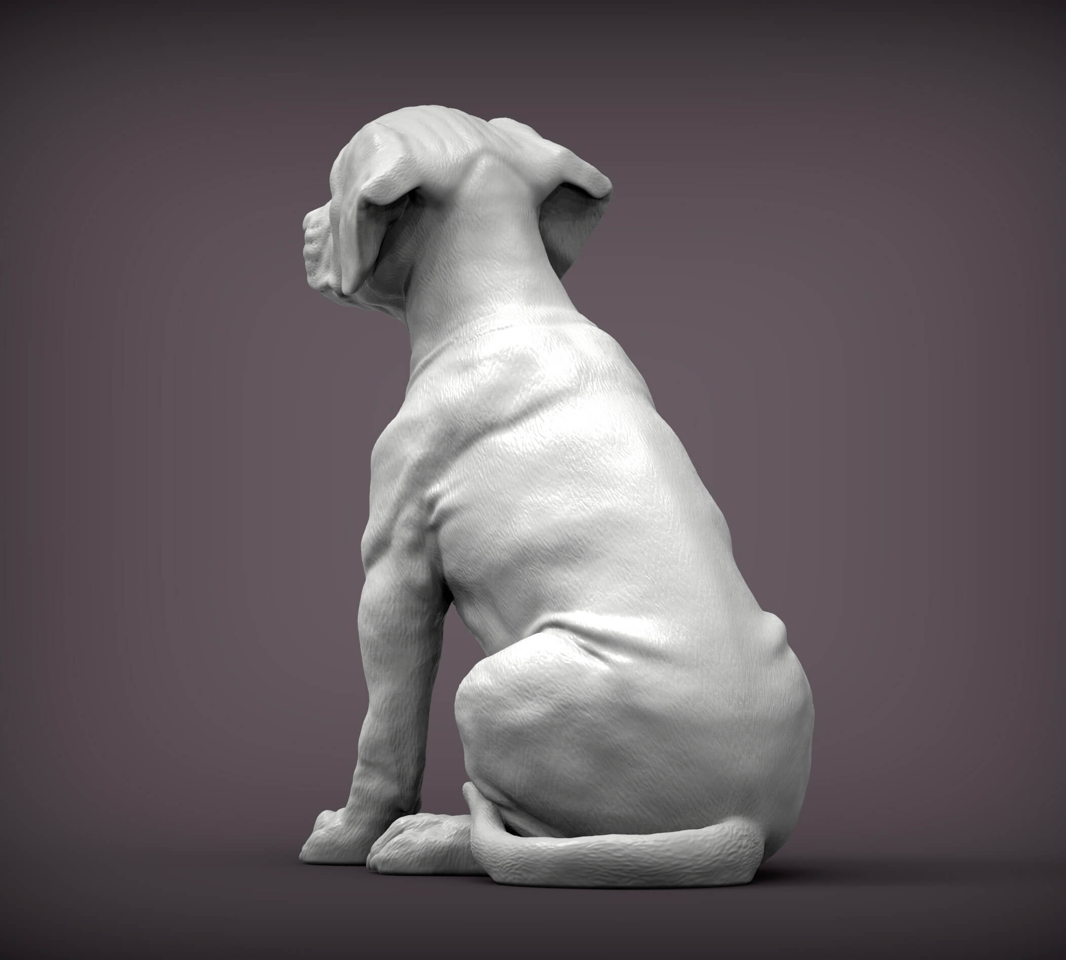 Puppy Rhodesian Ridgeback Sitting 3D Print Model by Alexander3dart