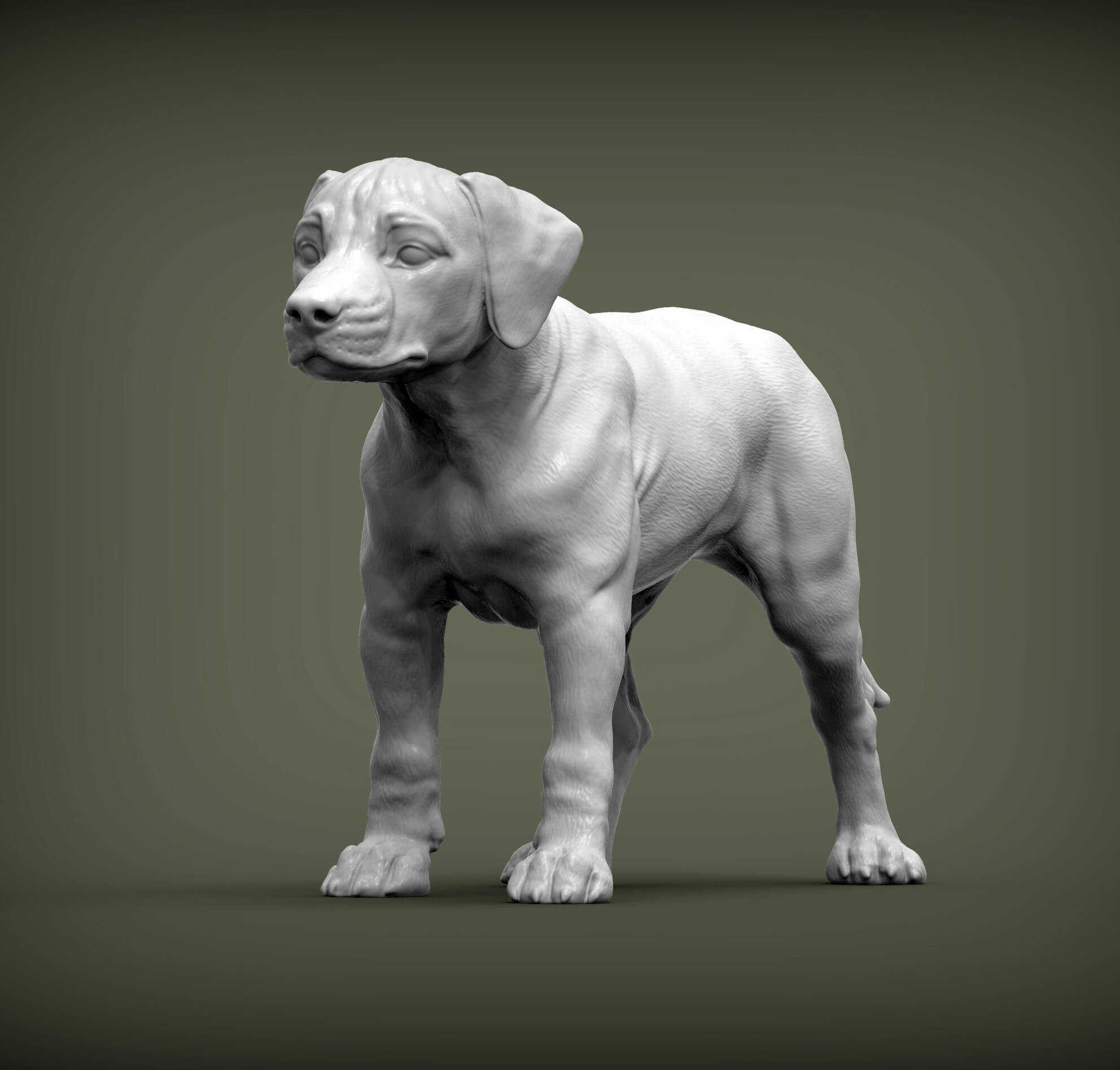 Puppy Rhodesian Ridgeback Standing - 3D Print Model by Alexander3dart