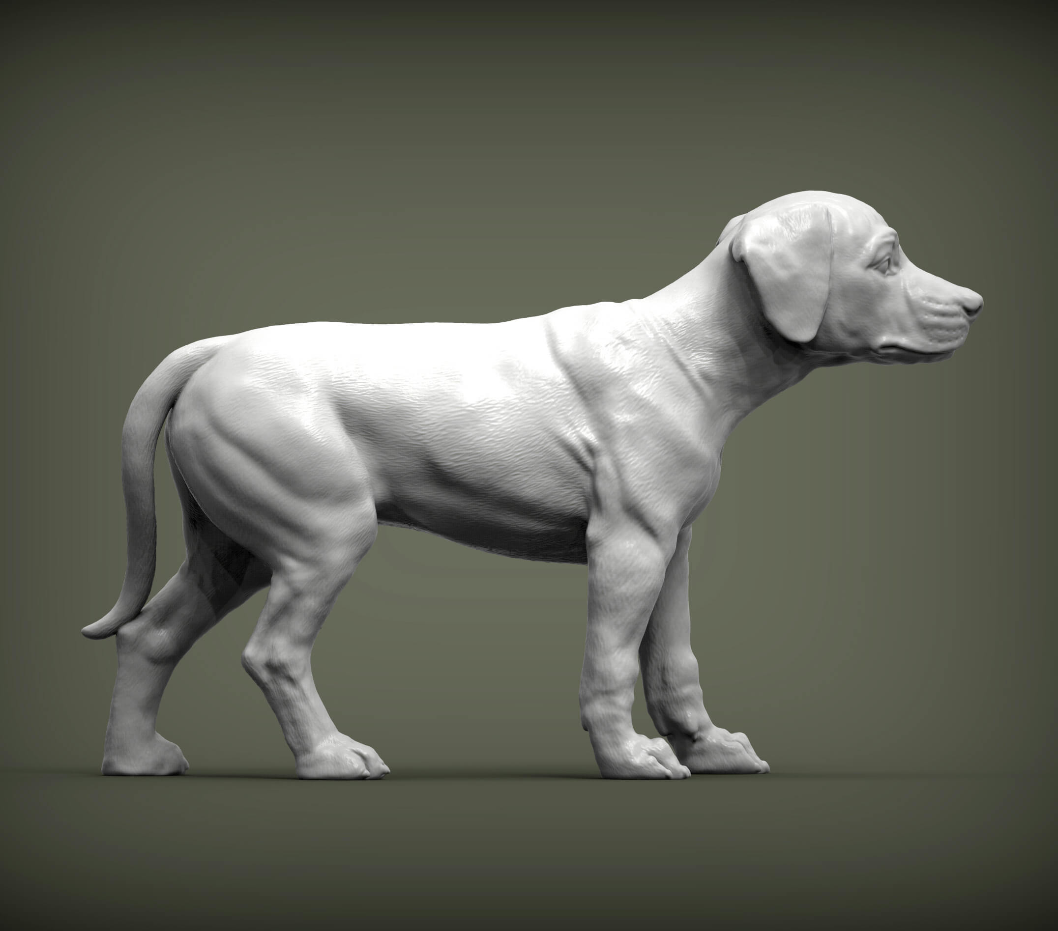 Puppy Rhodesian Ridgeback Standing - 3D Print Model by Alexander3dart