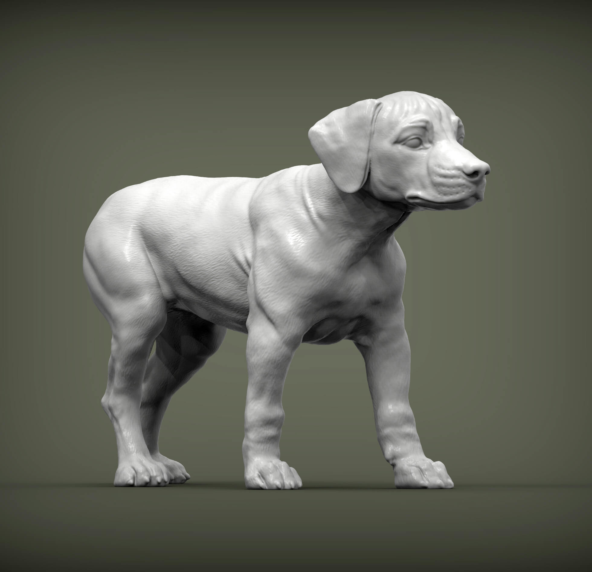 Puppy Rhodesian Ridgeback Standing - 3D Print Model by Alexander3dart