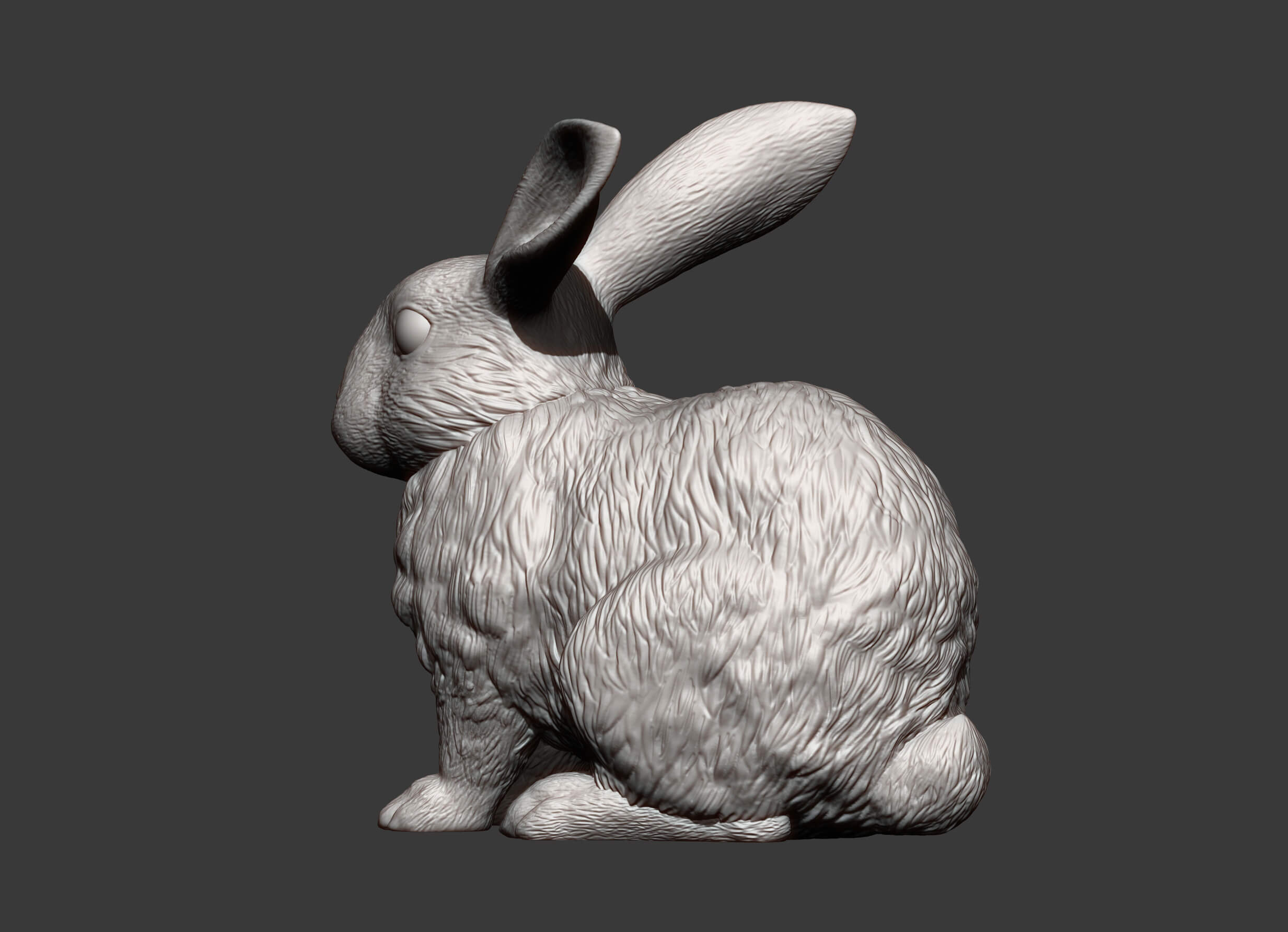 Rabbit 3D Print Model by Alexander3dart