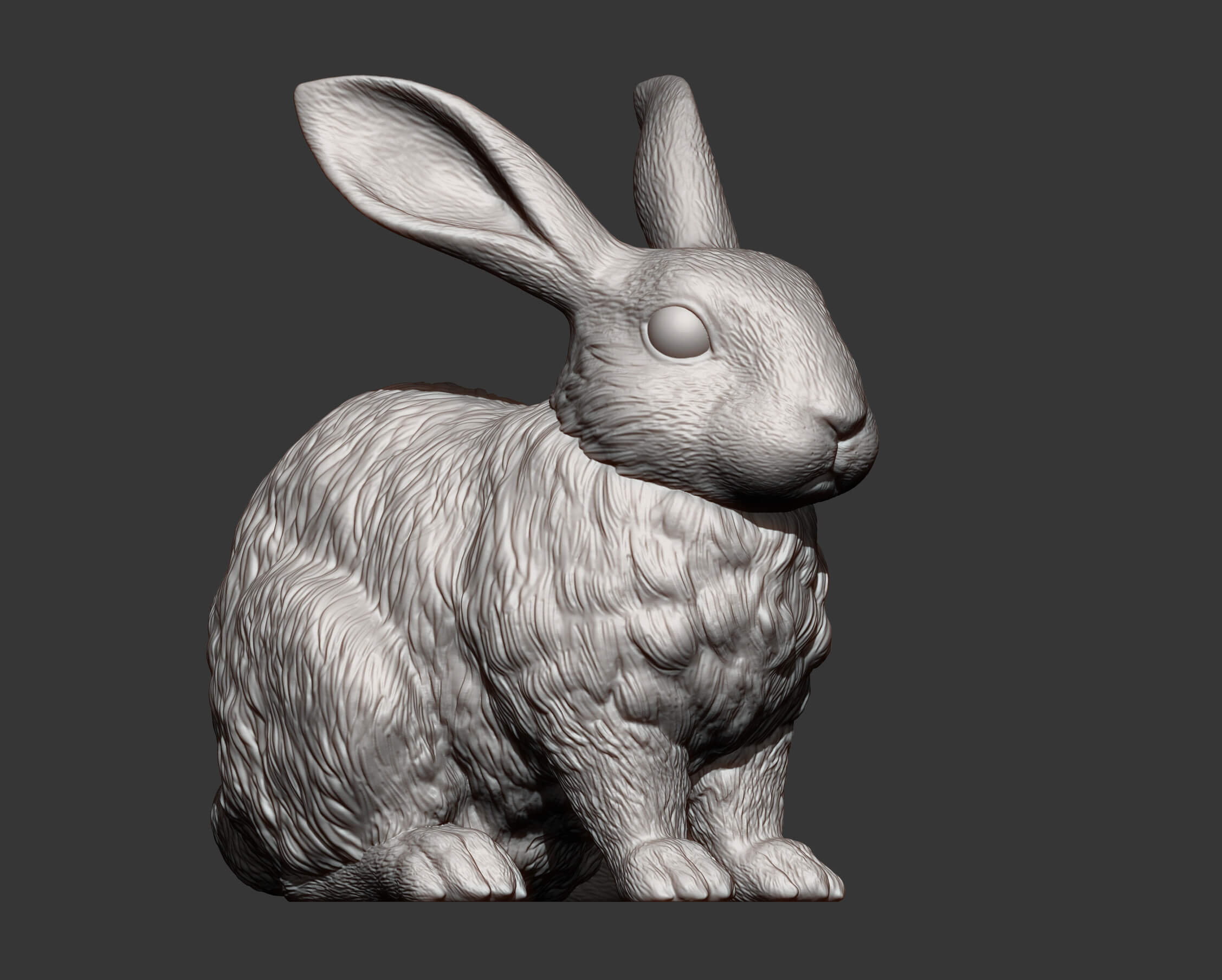 Rabbit 3D Print Model by Alexander3dart