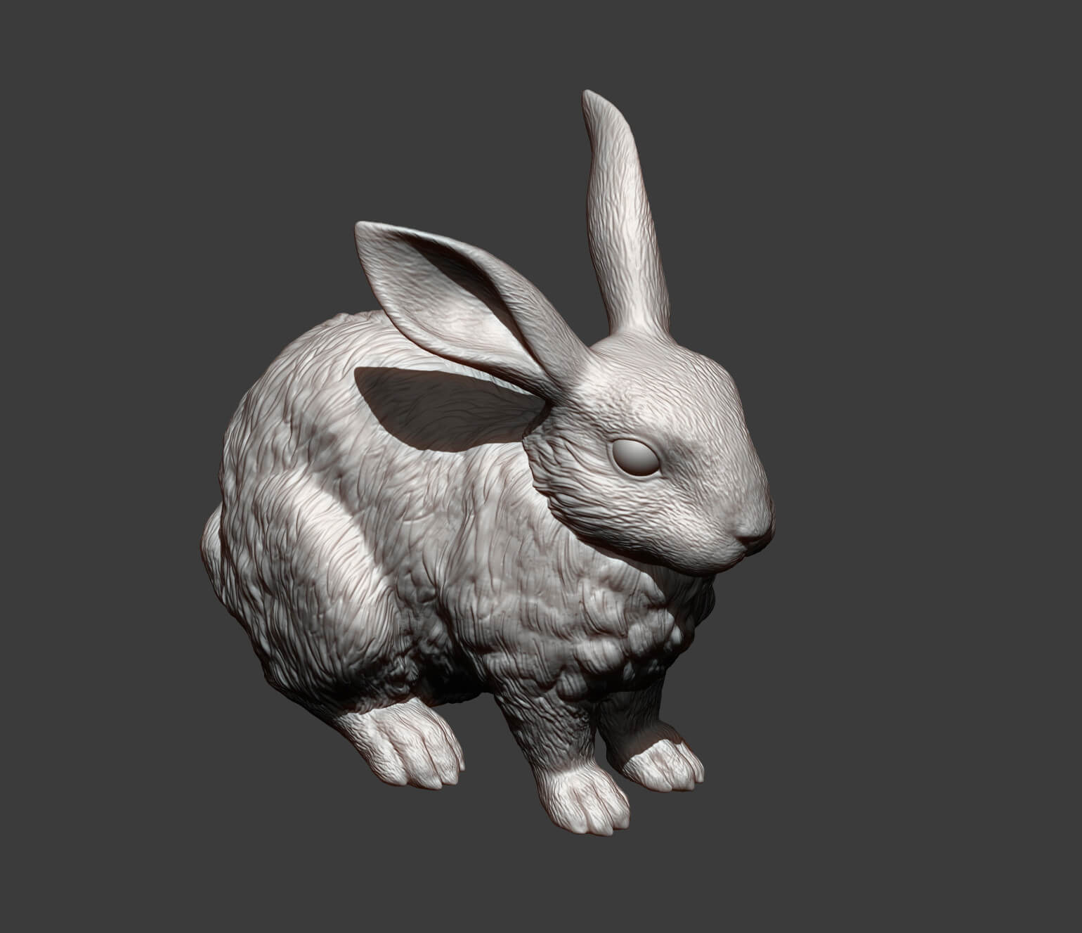 Rabbit 3D Print Model by Alexander3dart