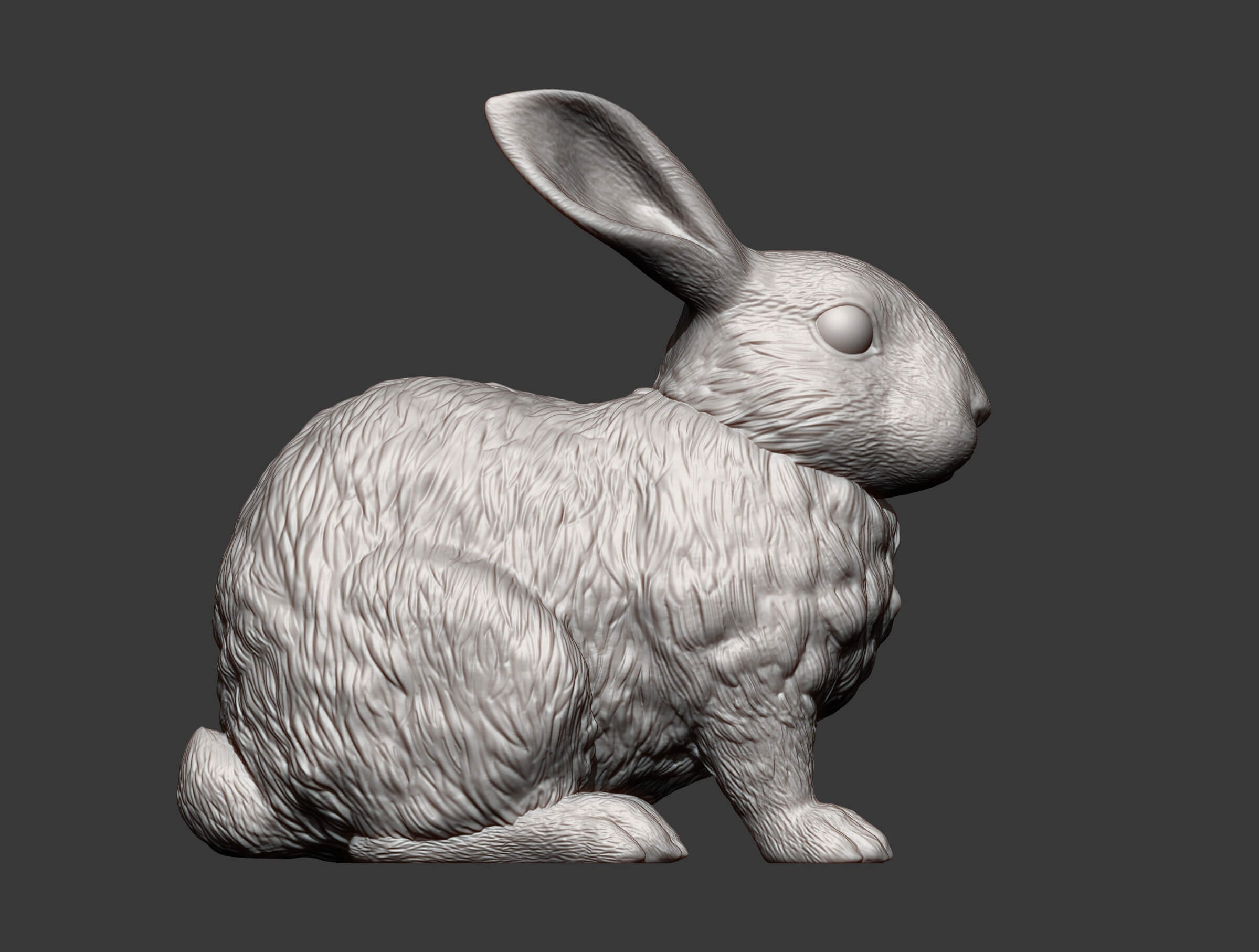 Rabbit 3D Print Model by Alexander3dart