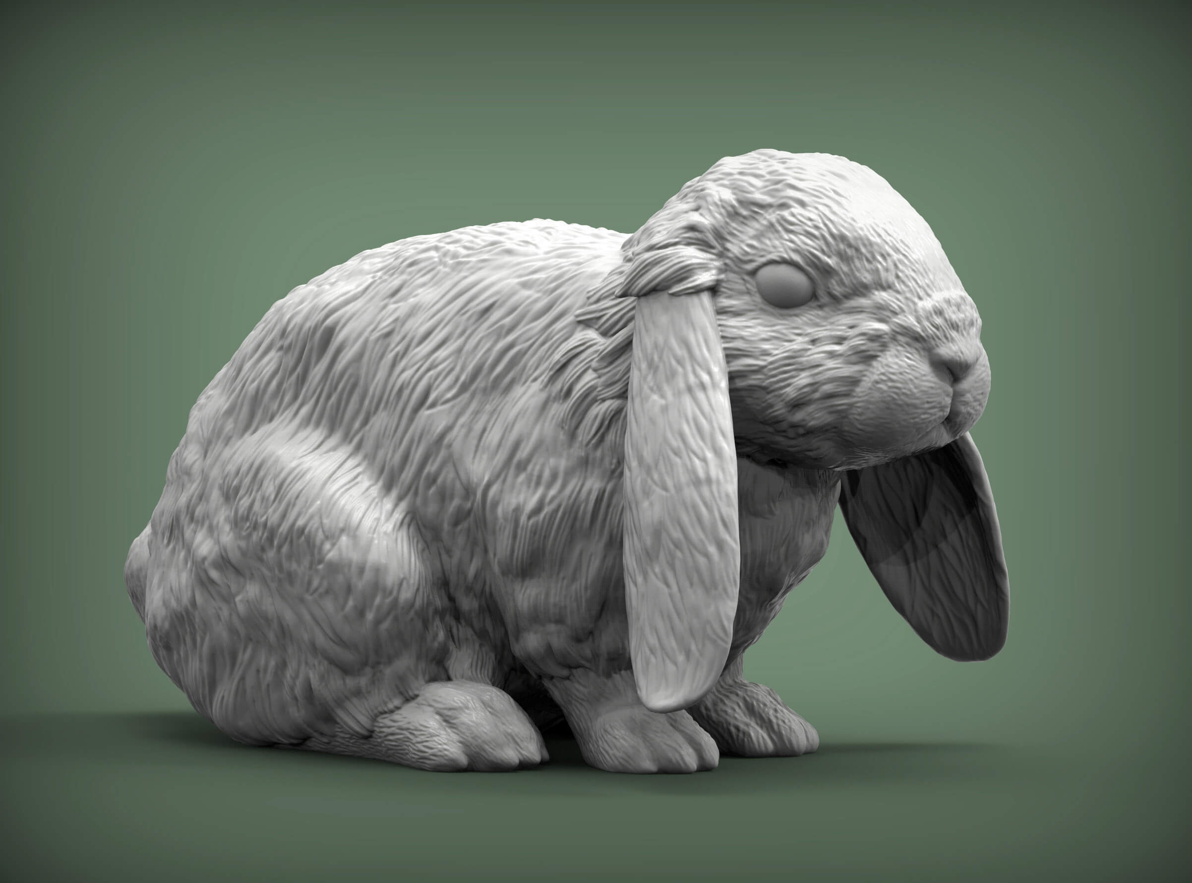 Rabbit American Fuzzy Fop 3D Print Model by Alexander3dart