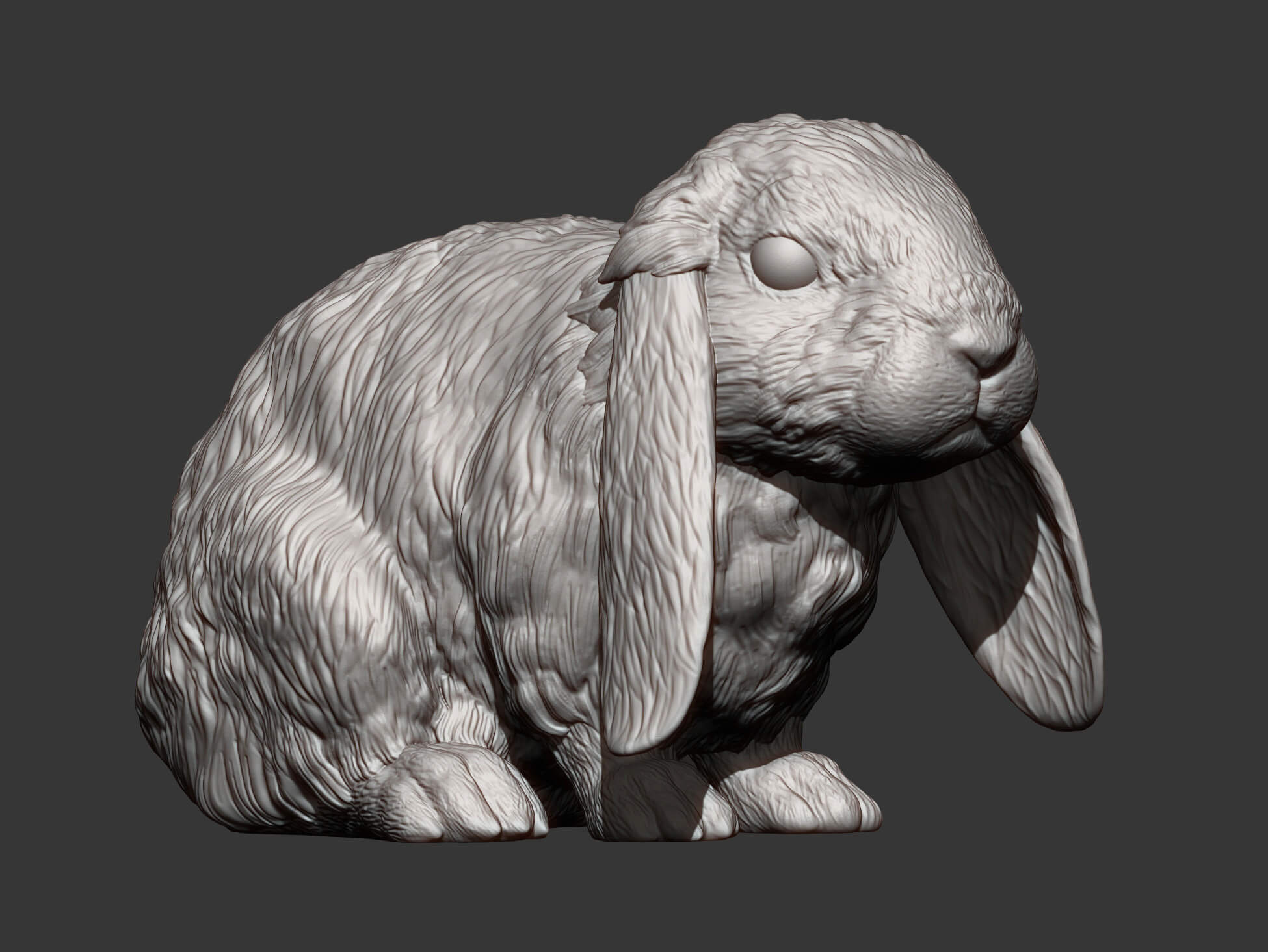 Rabbit American Fuzzy Fop 3D Print Model by Alexander3dart