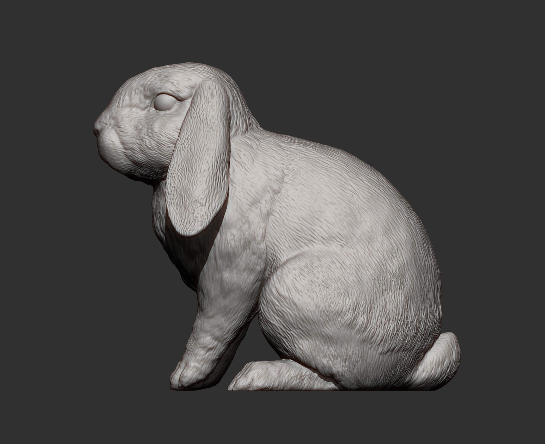 Rabbit Ram 3D Print Model by Alexander3dart