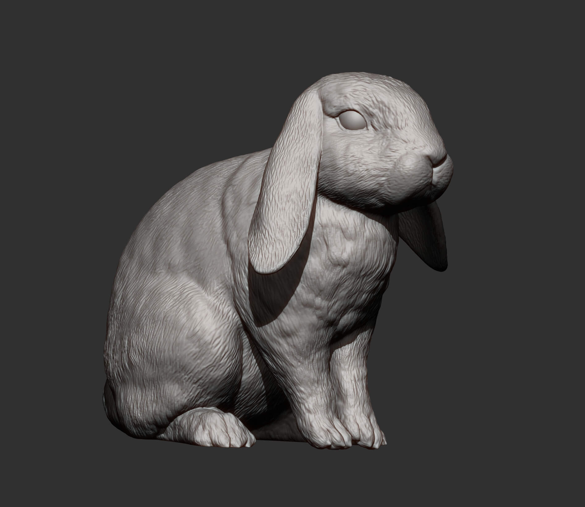 Rabbit Ram 3D Print Model by Alexander3dart