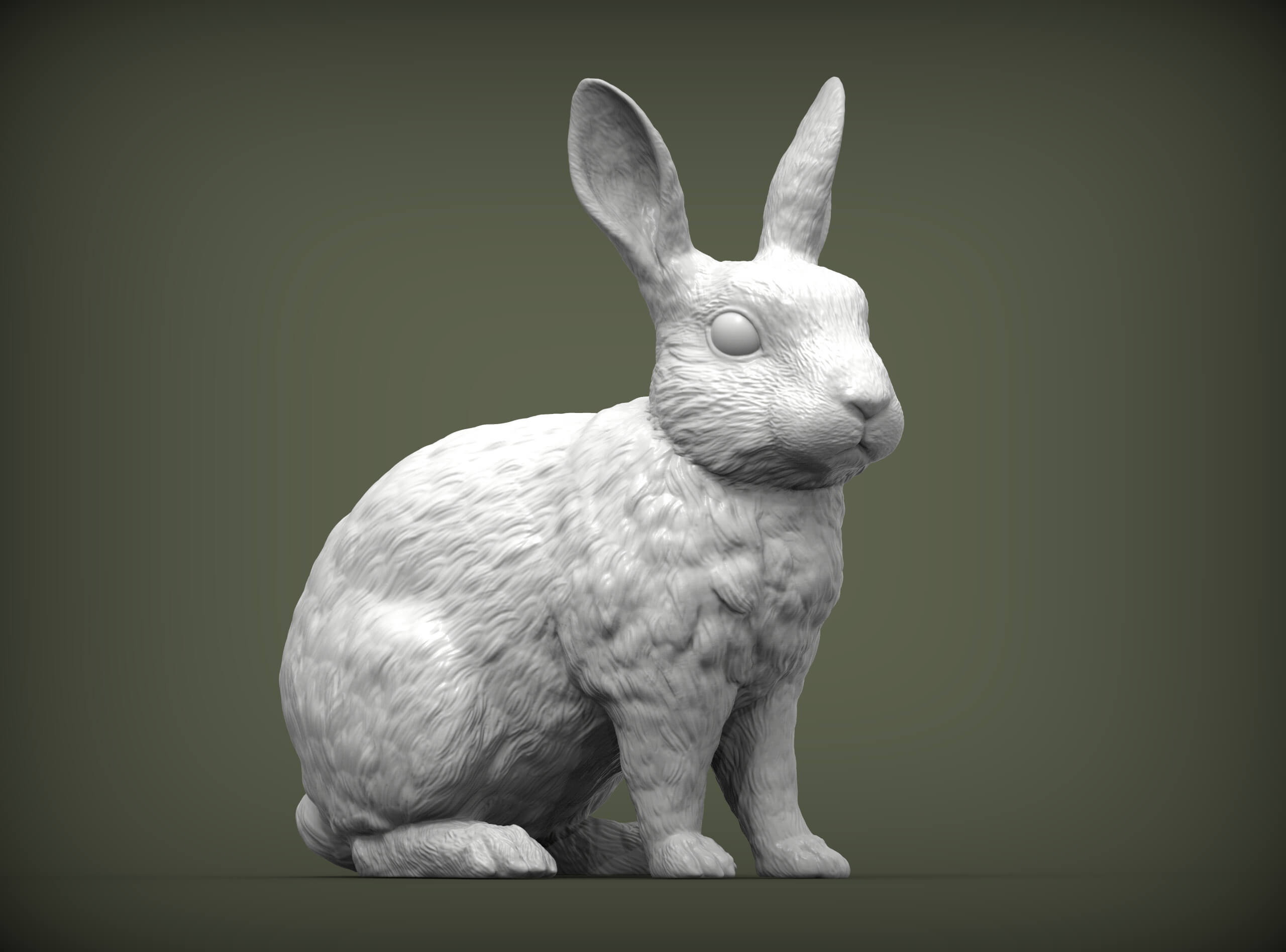 Rabbit Rex Agouti 3D Print Model by Alexander3dart