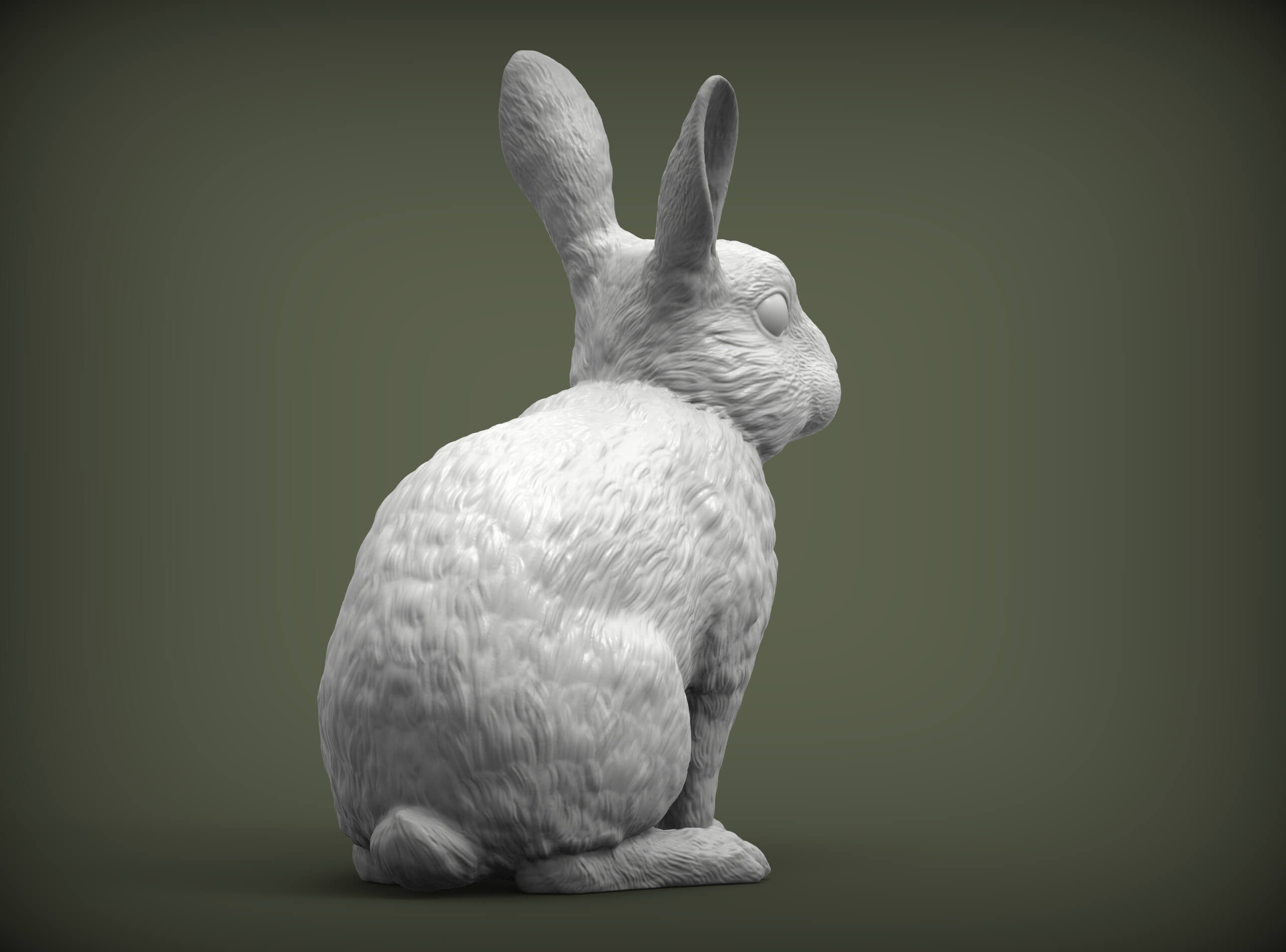 Rabbit Rex Agouti 3D Print Model by Alexander3dart