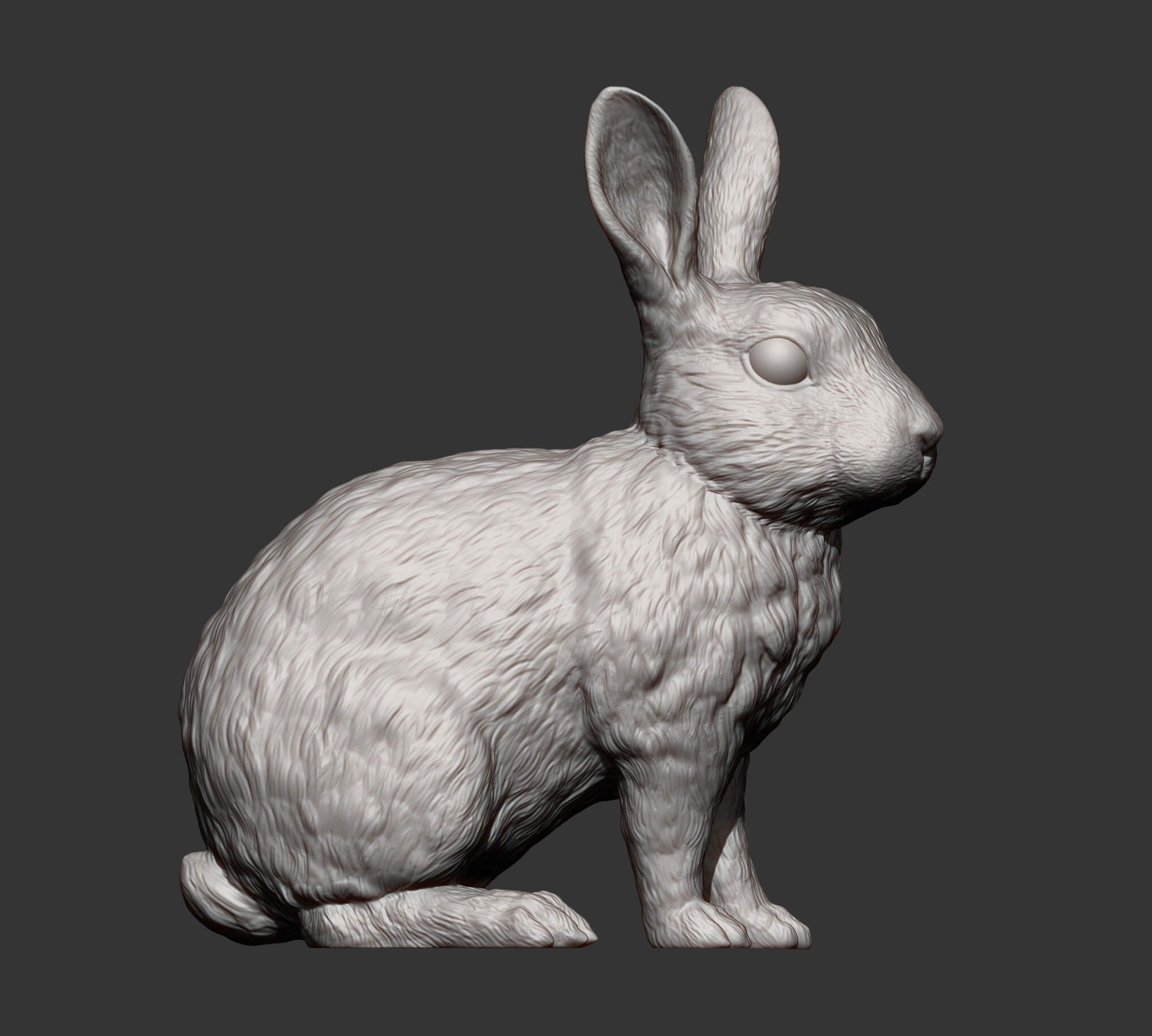Rabbit Rex Agouti 3D Print Model by Alexander3dart