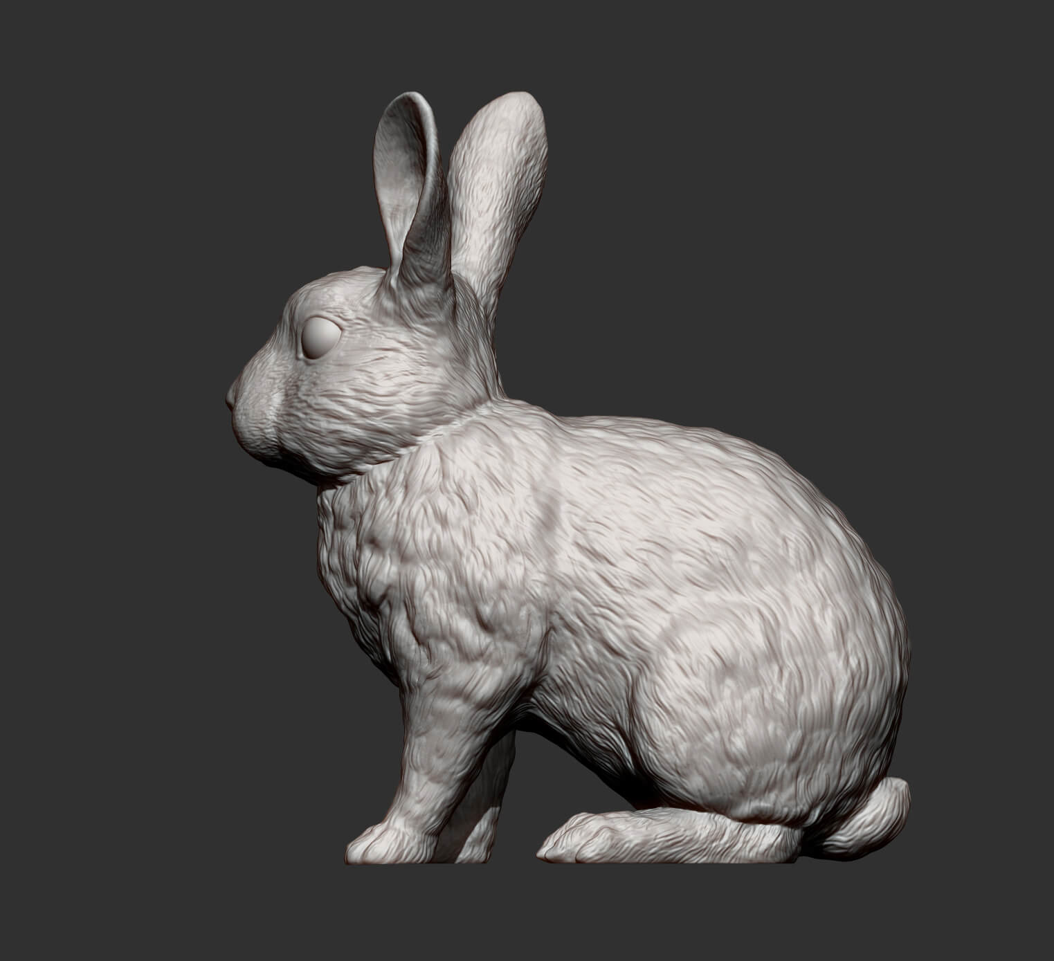 Rabbit Rex Agouti 3D Print Model by Alexander3dart