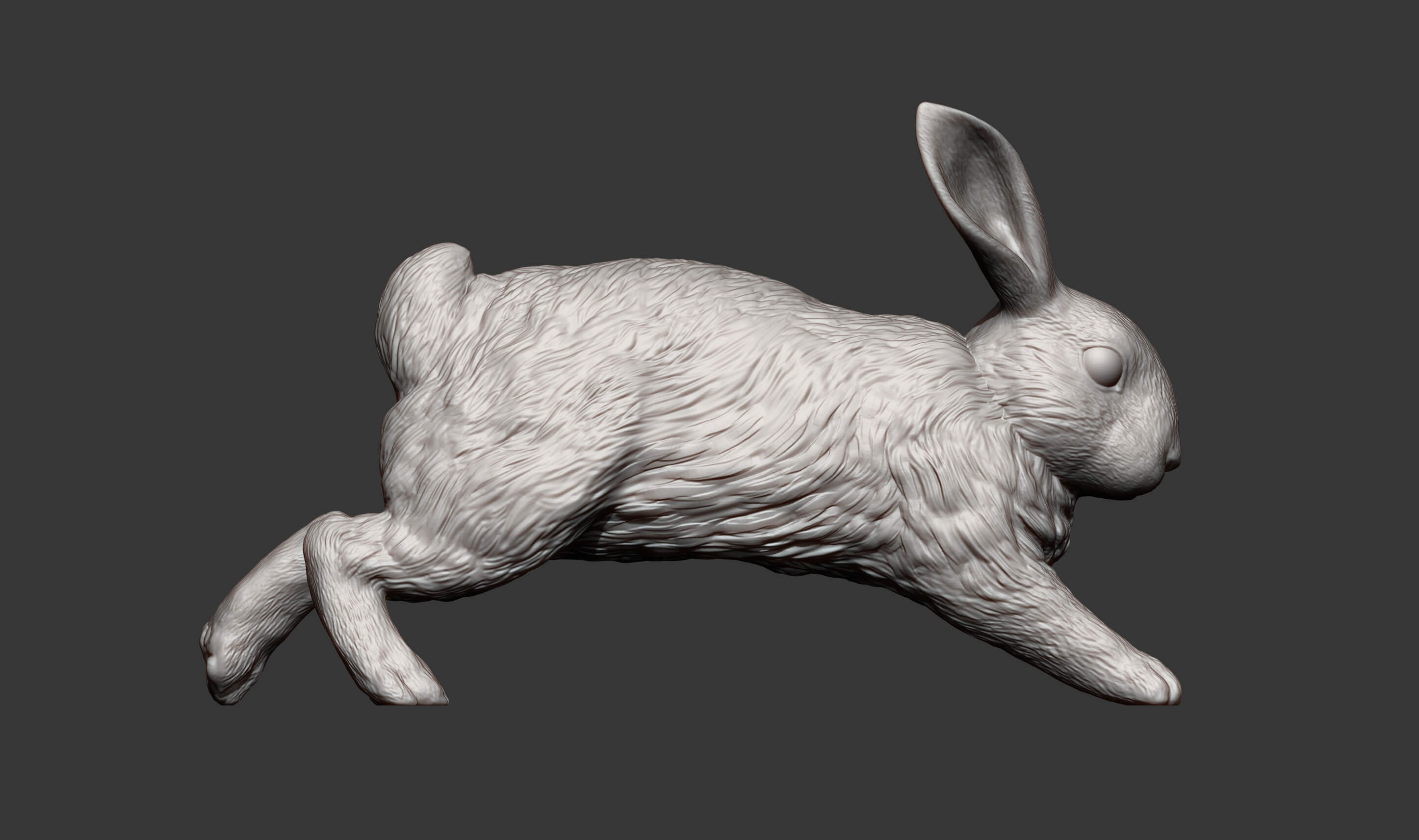 Rabbit Running - 3D Model by Alexander3dart
