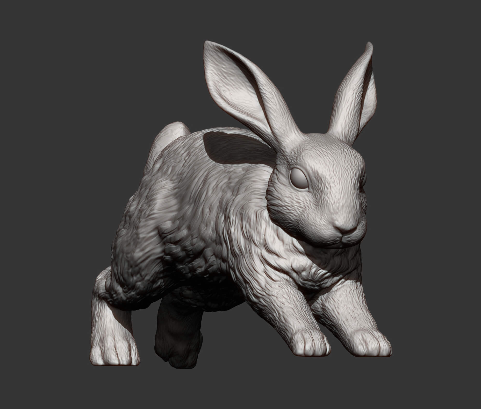 Rabbit Running - 3D Model by Alexander3dart