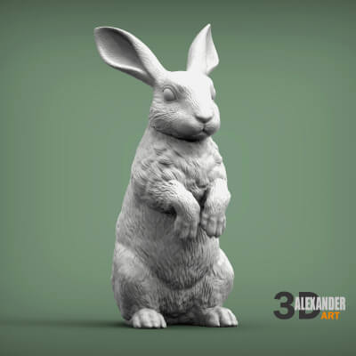 Ztl 3D Models | Animals | Rabbits | RenderHub