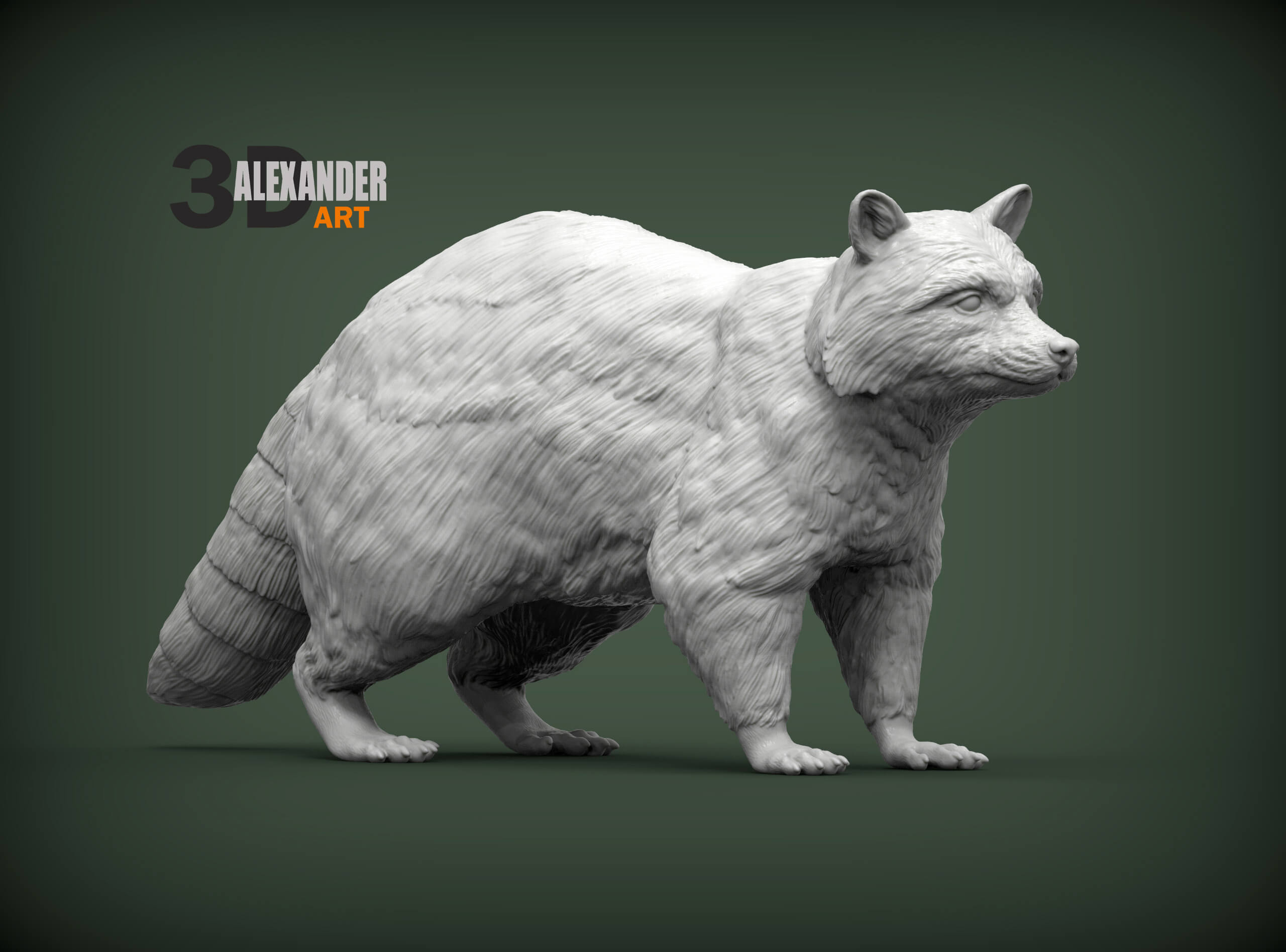 Raccoon 3D Print Model by Alexander3dart