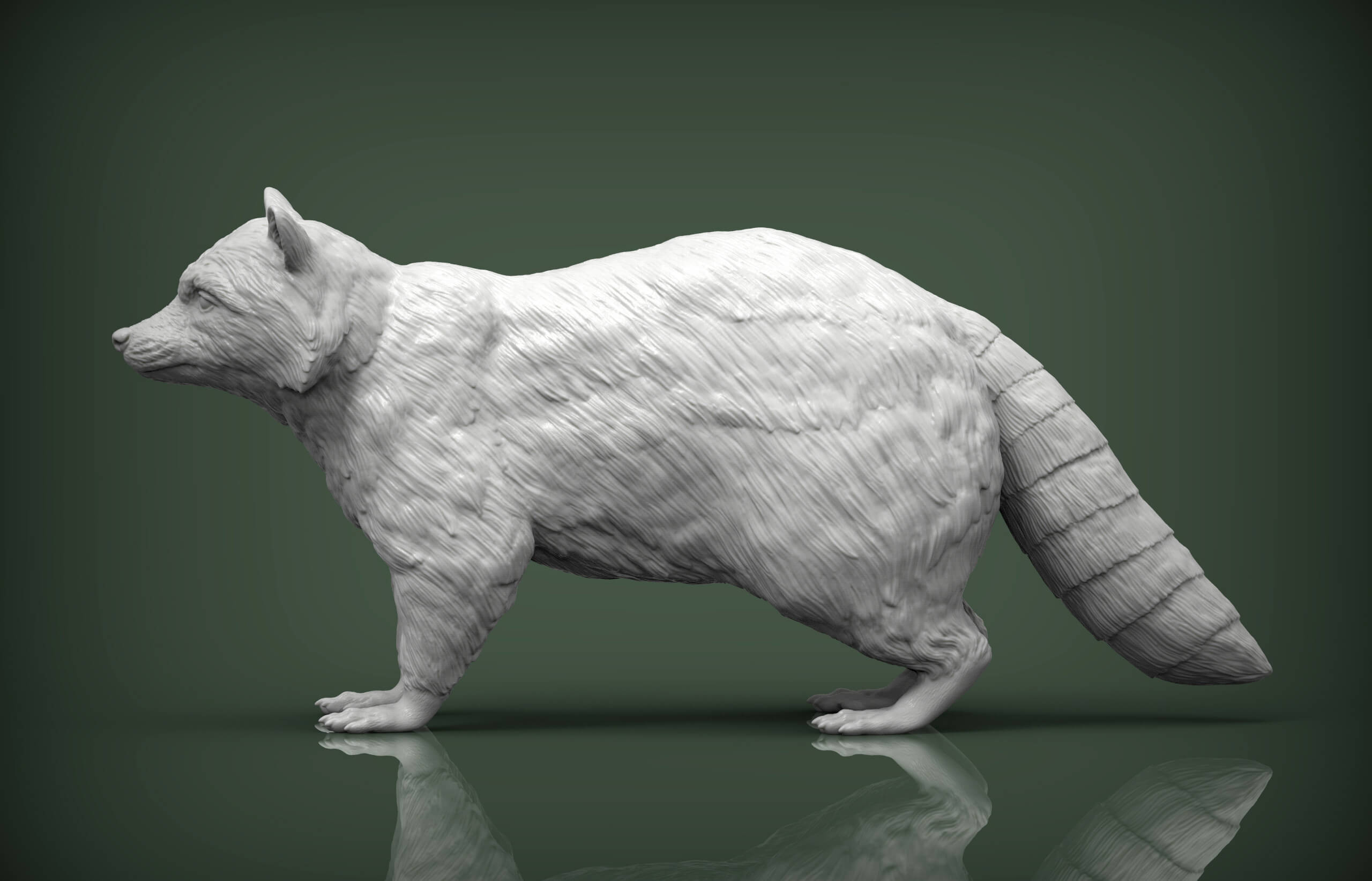Raccoon 3D Print Model by Alexander3dart
