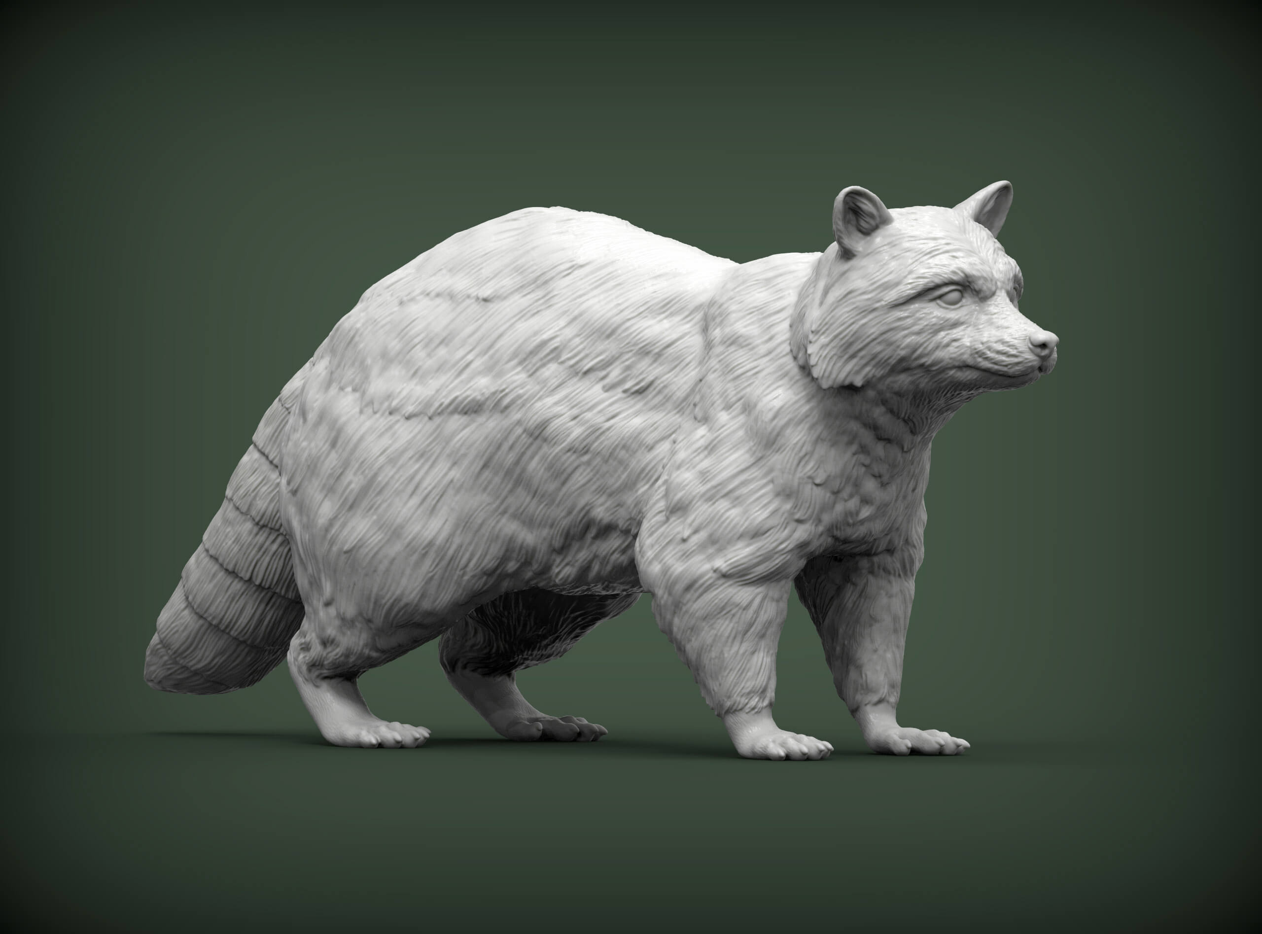 Raccoon 3D Print Model by Alexander3dart