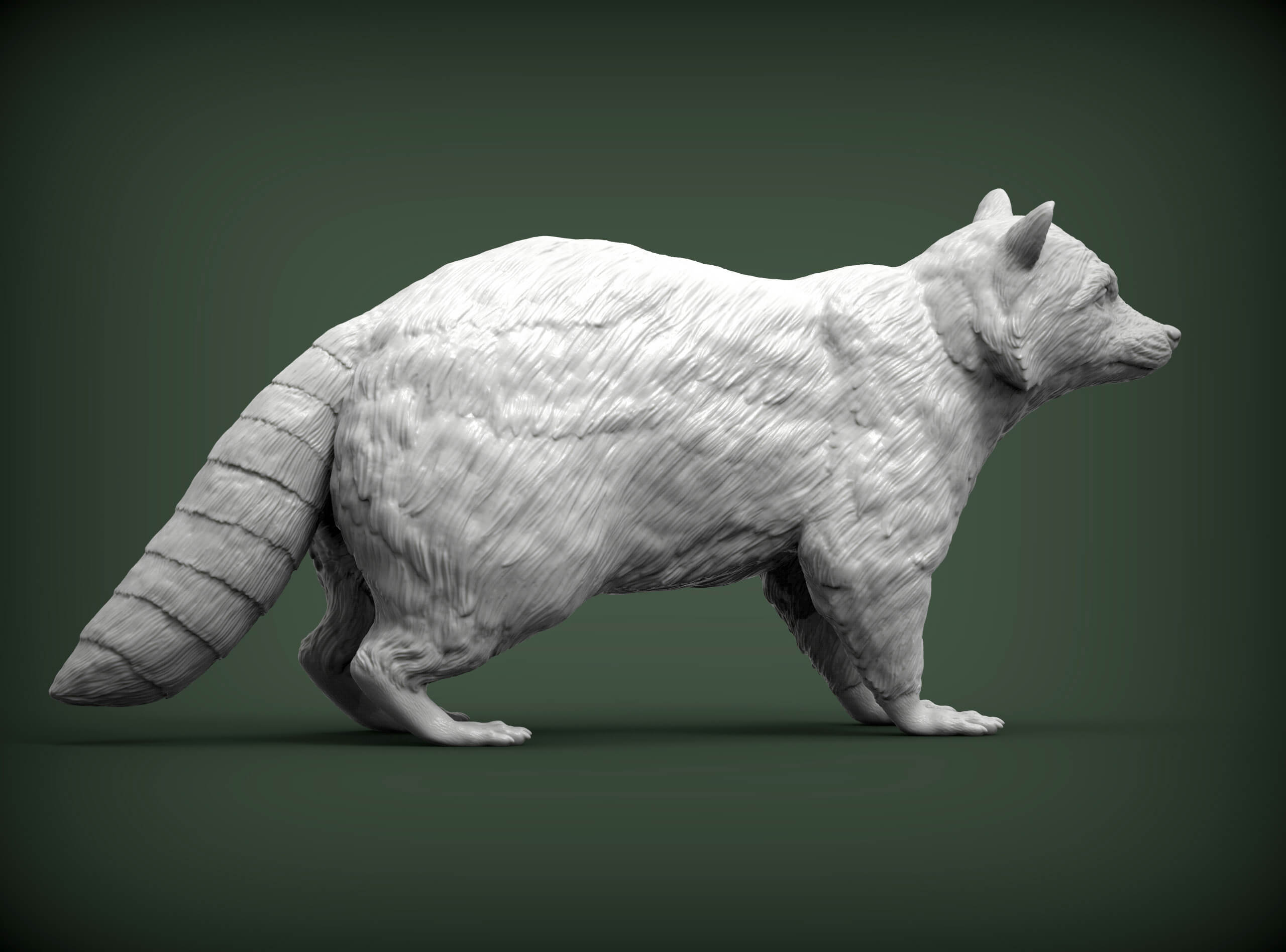 Raccoon 3D Print Model by Alexander3dart