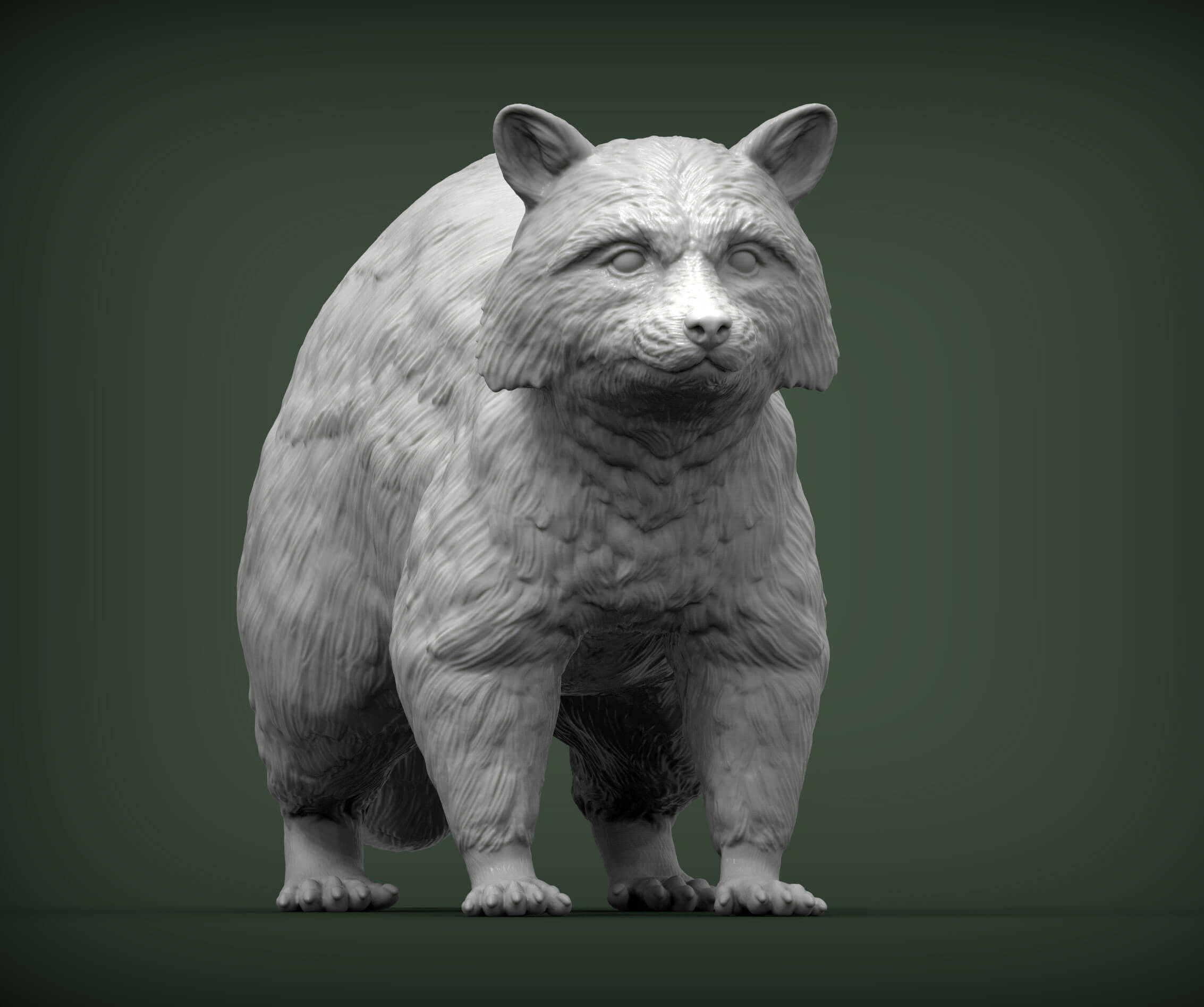 Raccoon 3D Print Model by Alexander3dart