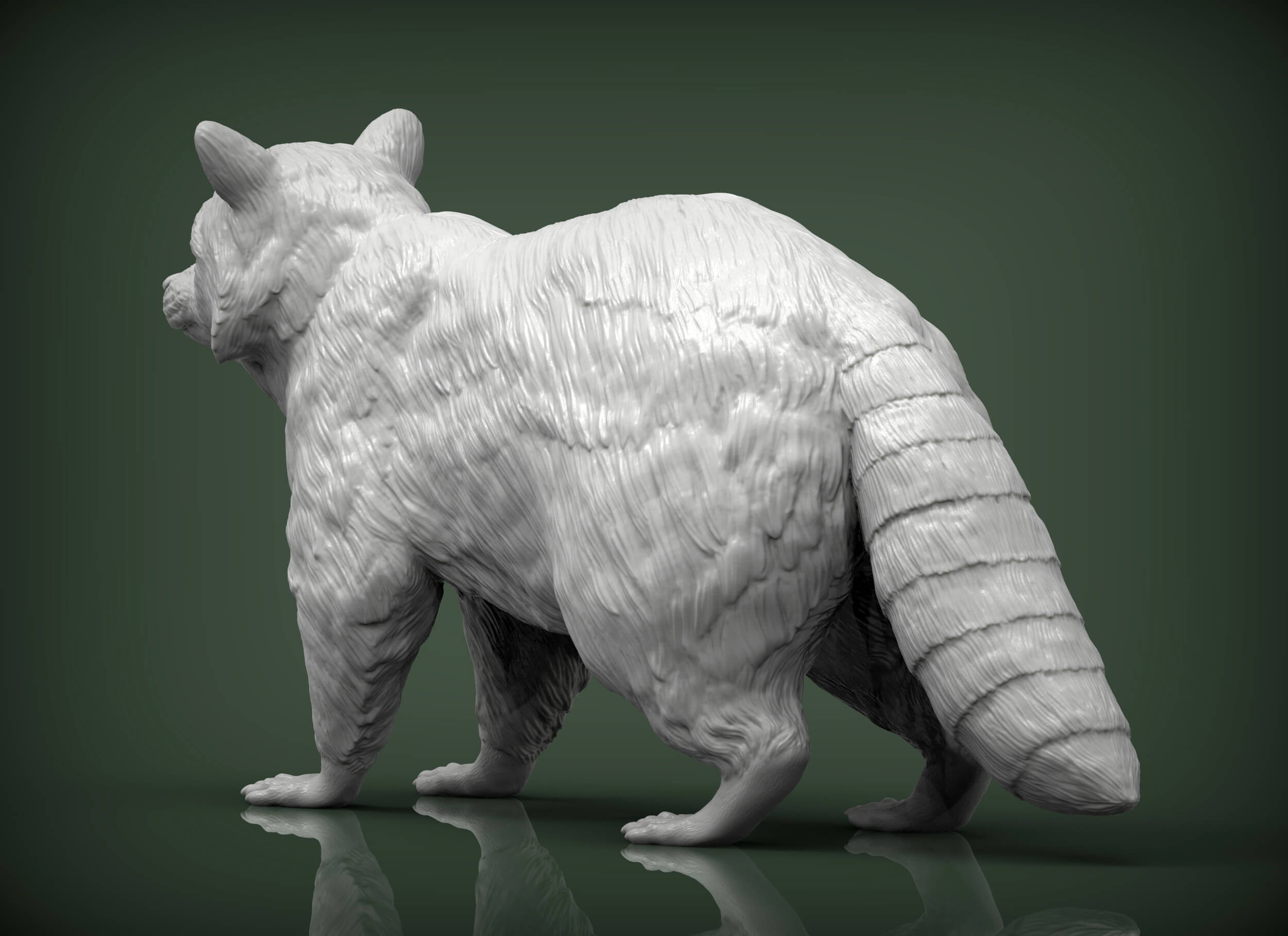 Raccoon 3D Print Model by Alexander3dart