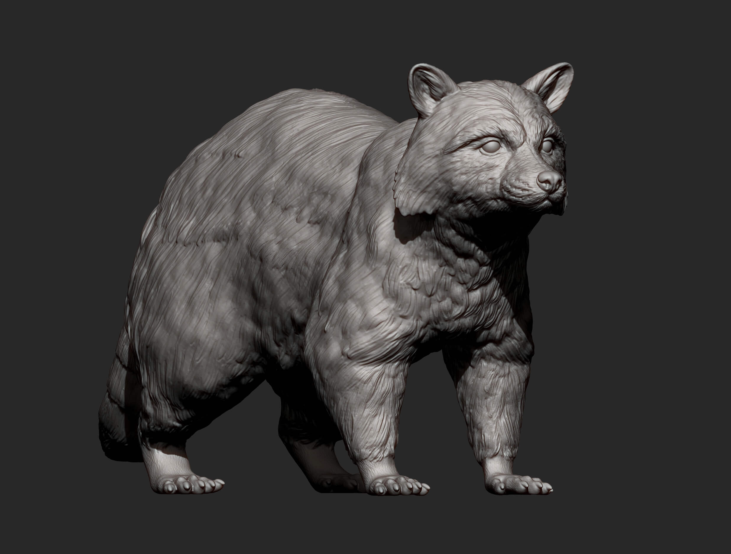 Raccoon 3D Print Model by Alexander3dart