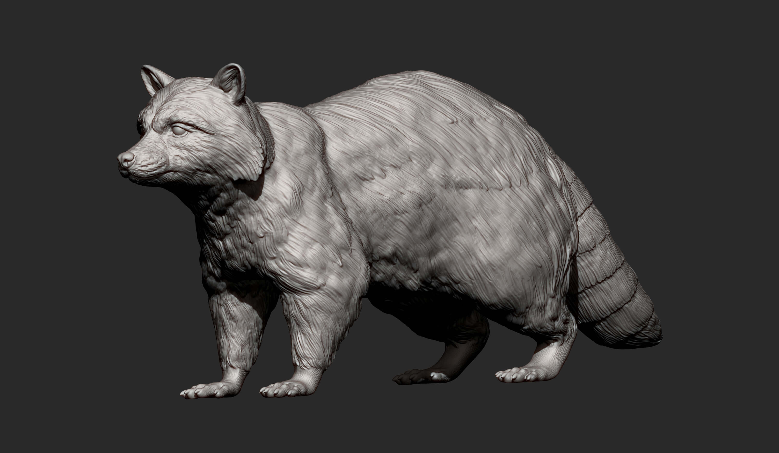 Raccoon 3D Print Model by Alexander3dart