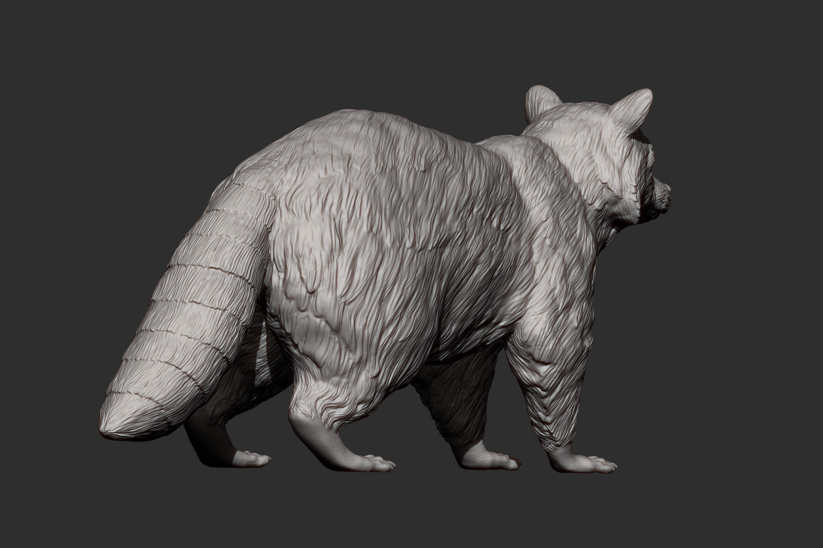 Raccoon 3D Print Model by Alexander3dart