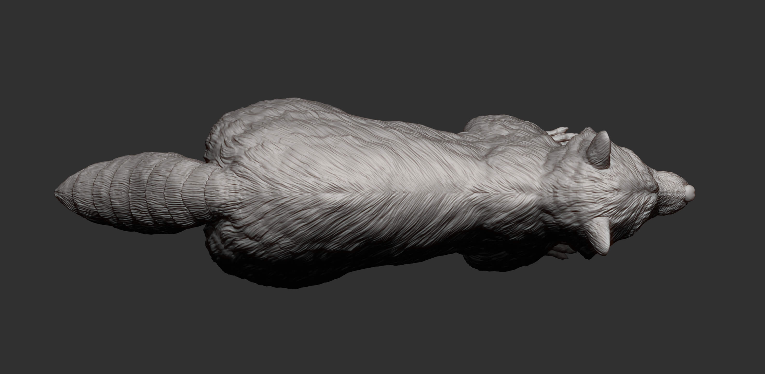 Raccoon 3D Print Model by Alexander3dart