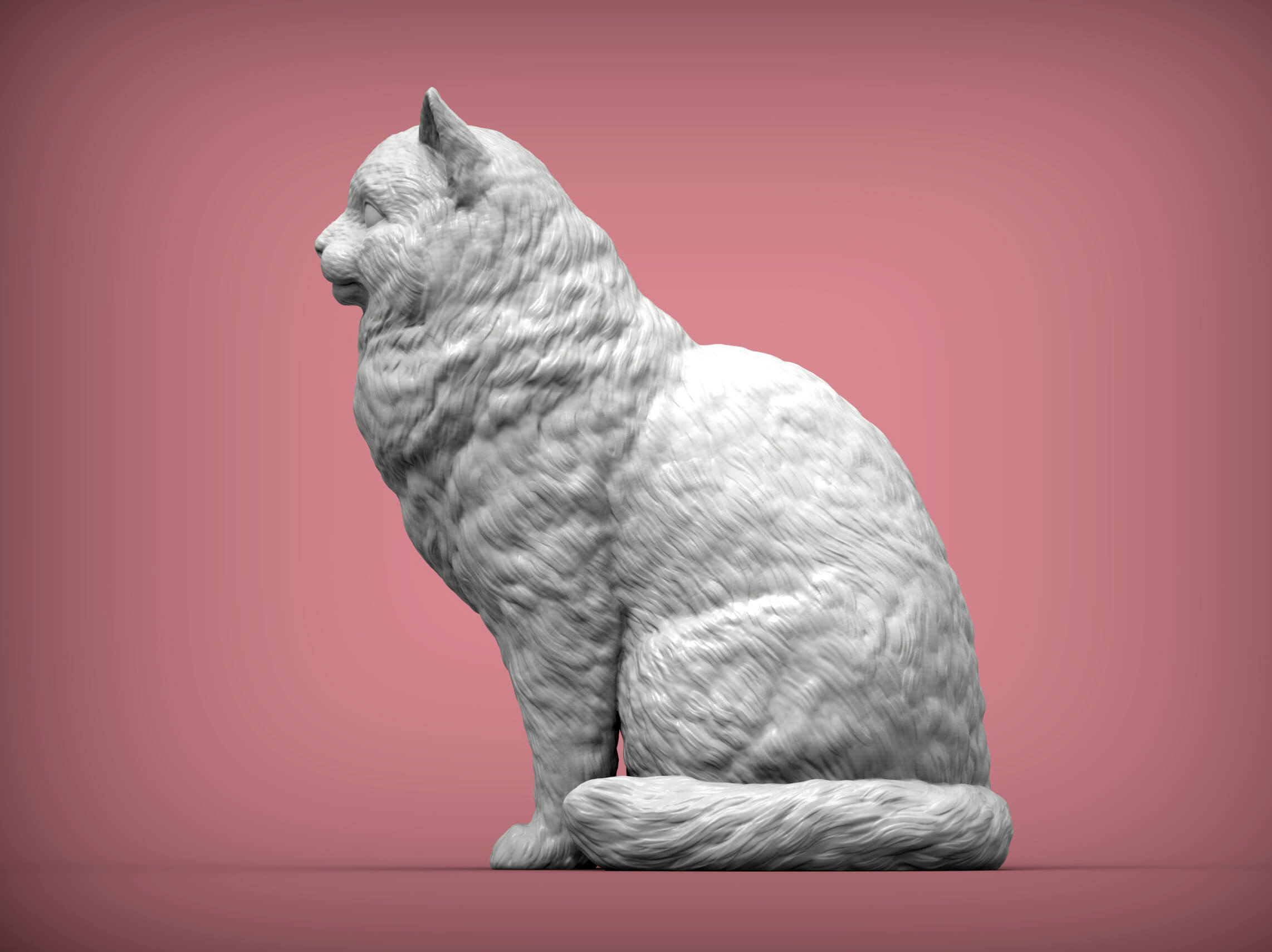 Ragdoll Cat 3D Print Model by Alexander3dart