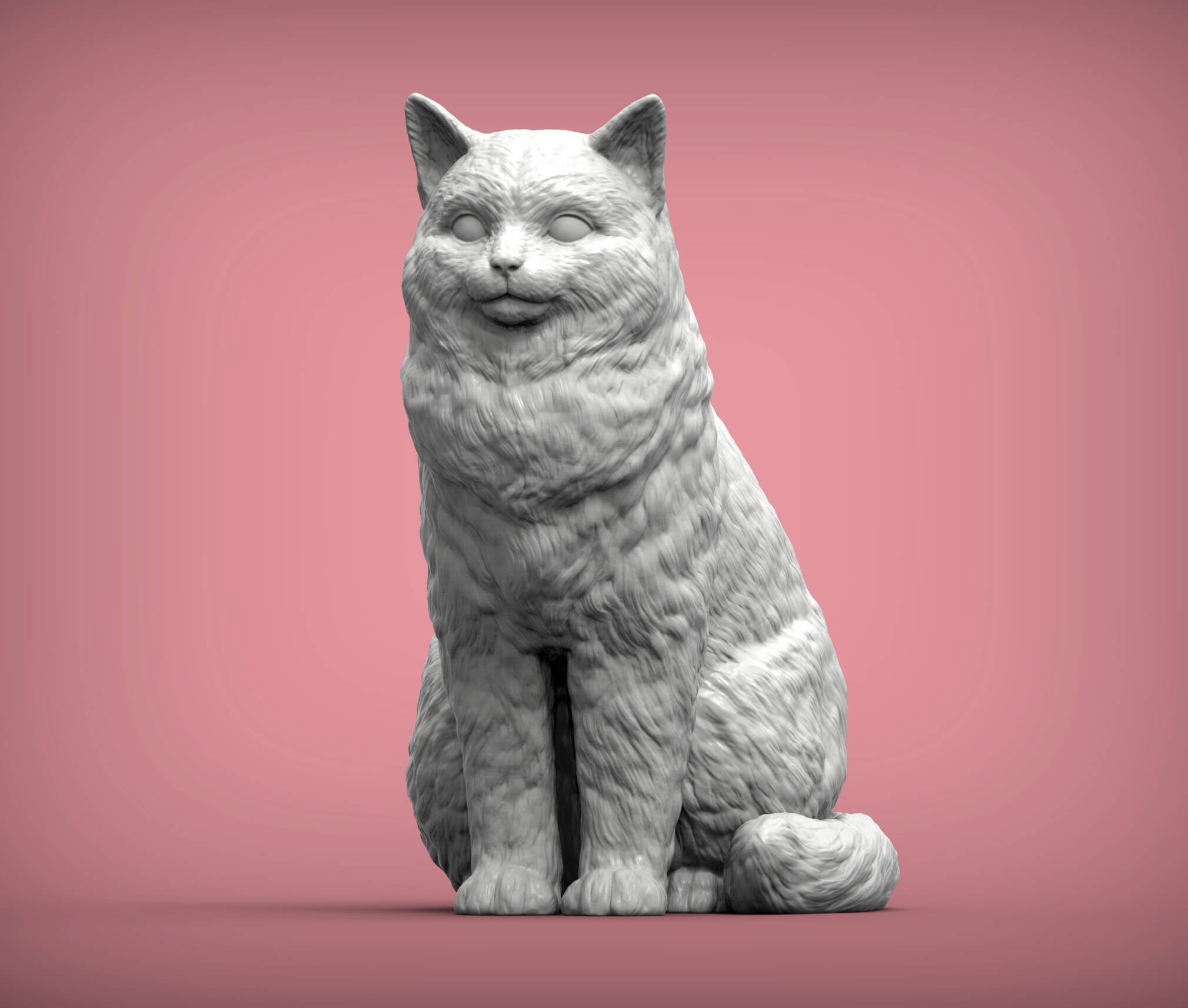 Ragdoll Cat 3D Print Model by Alexander3dart