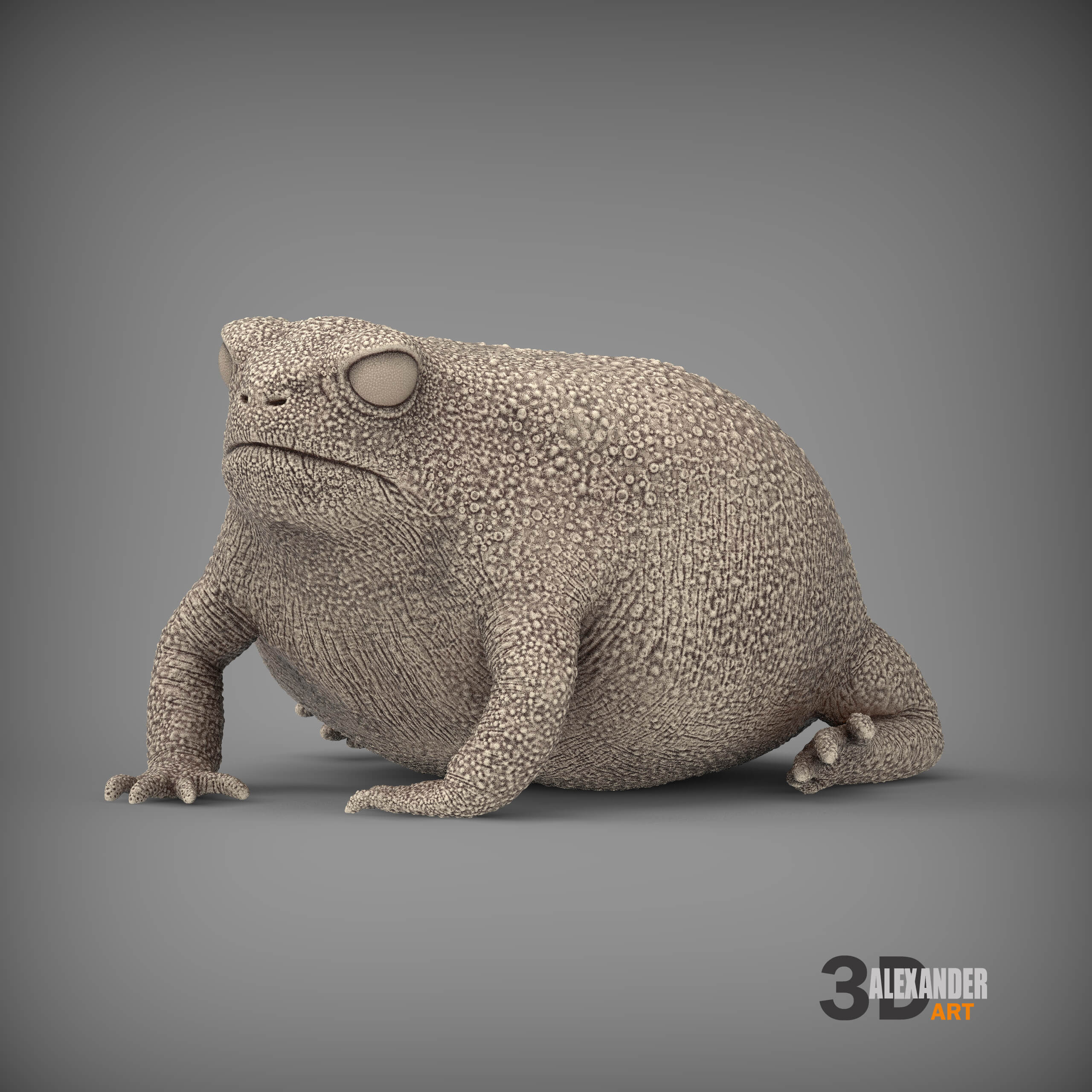 Rain Frog sculpture - 3D Model by Alexander3dart