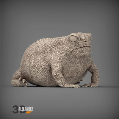 Rain Frog sculpture - 3D Model by Alexander3dart