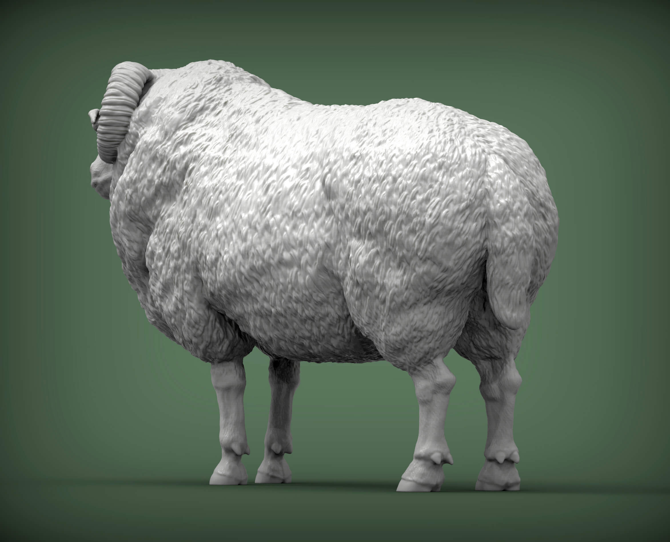 Ram 3D Print Model by Alexander3dart