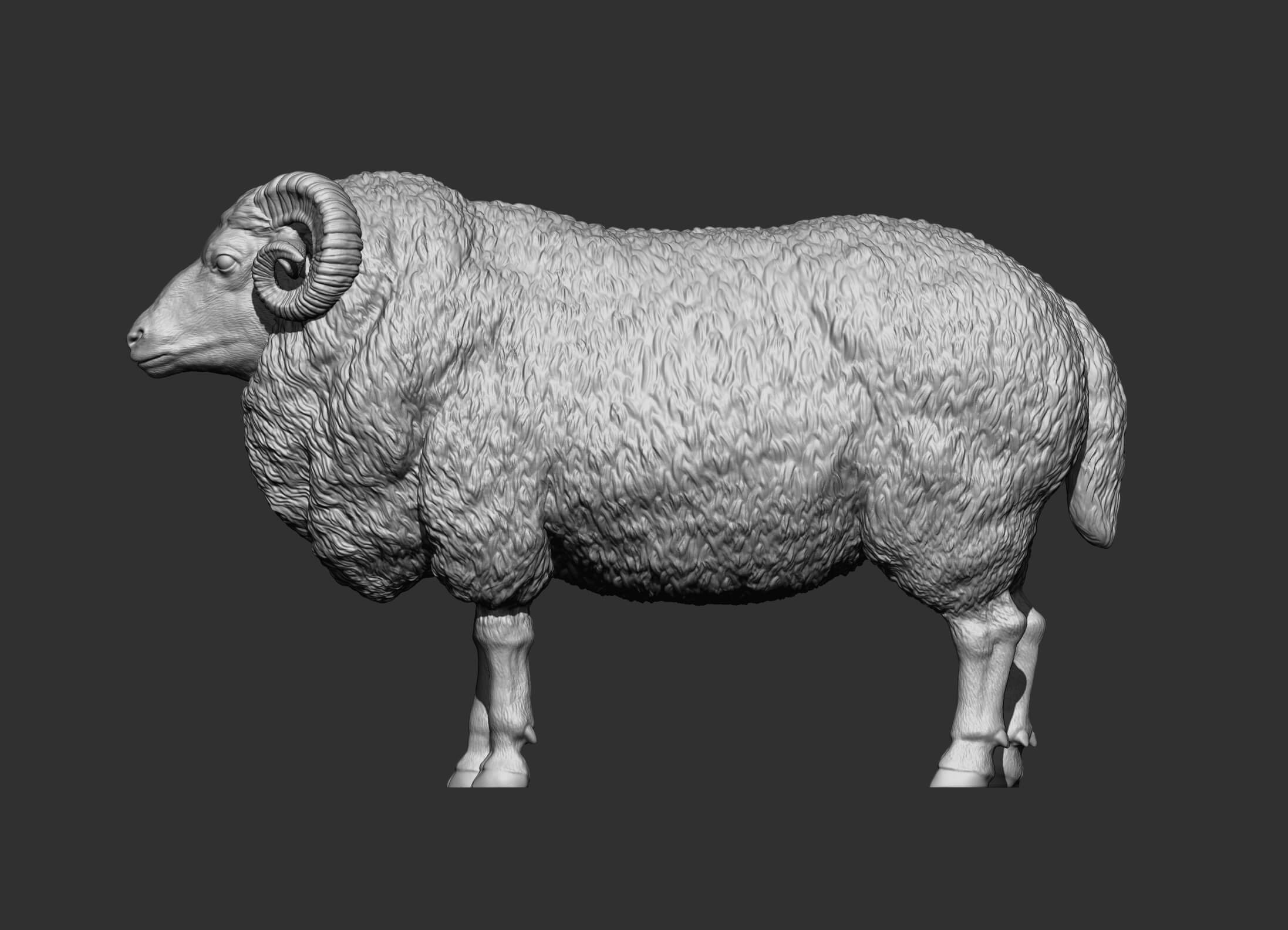 Ram 3D Print Model by Alexander3dart