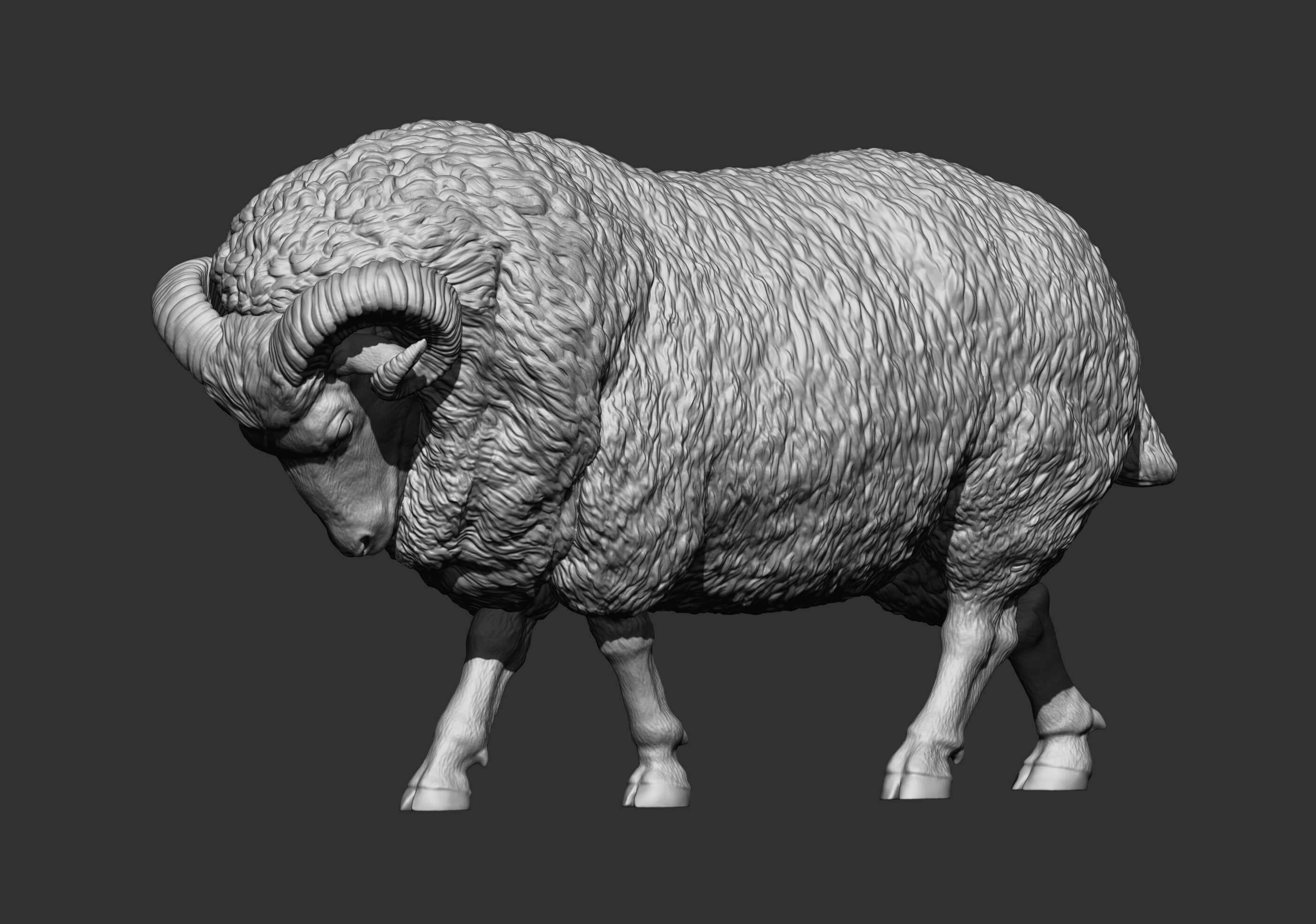 Ram Attacks 3D Print Model by Alexander3dart