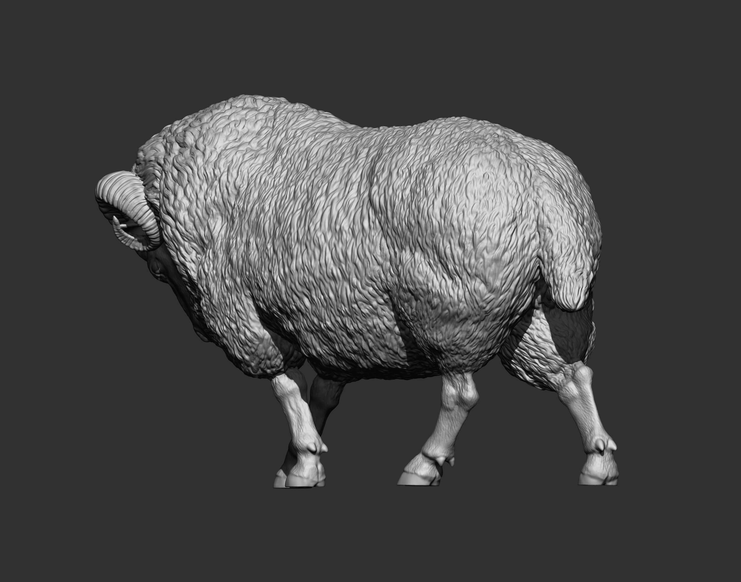 Ram Attacks 3D Print Model by Alexander3dart